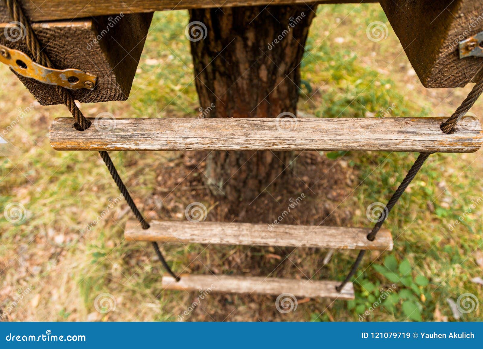 A rope ladder on a tree stock image. Image of nature - 121079719