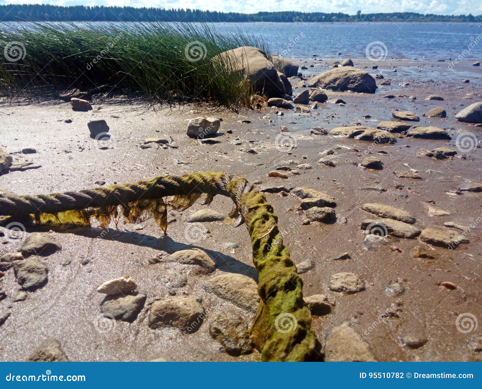 Rope in the Mud at the Beach Stock Photo - Image of outdoors, color ...