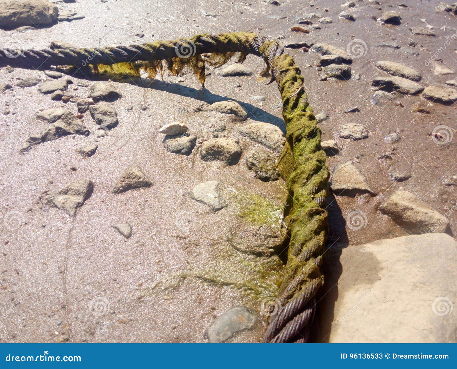 Rope in the Mud at the Beach Stock Image - Image of landscape, river ...
