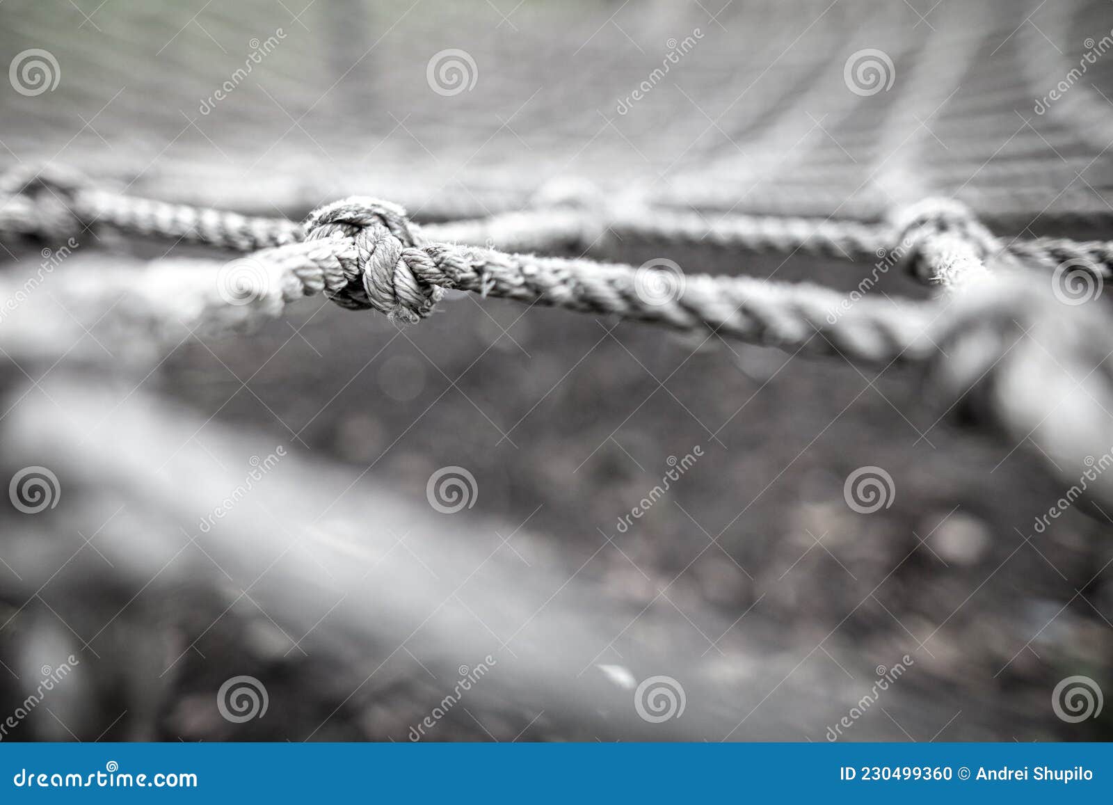Rope net as an attraction stock photo. Image of rope - 230499360