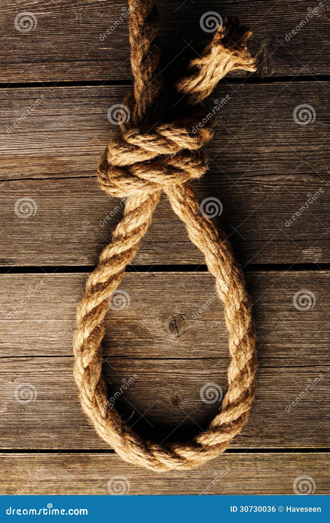 Rope noose with knot stock photo. Image of table, death - 30730036