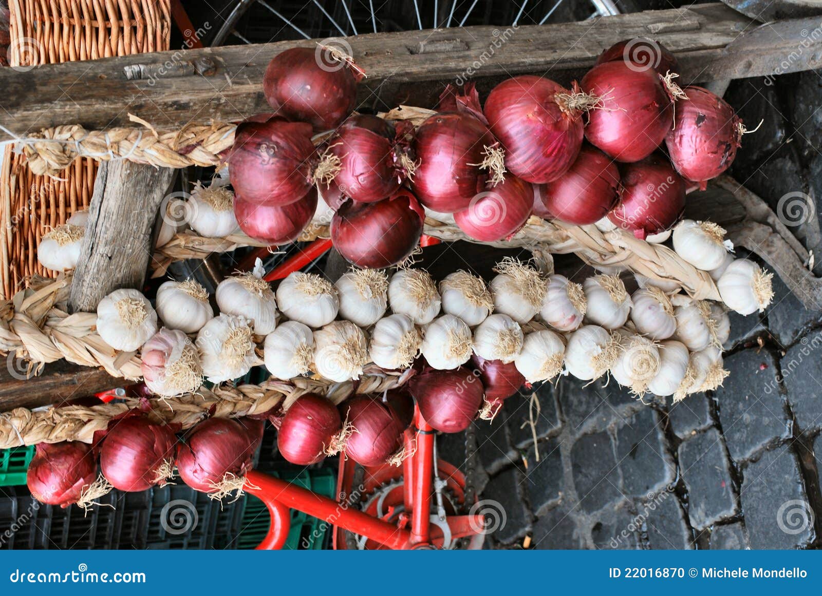 Rope of onions and garlic stock photo. Image of round - 22016870