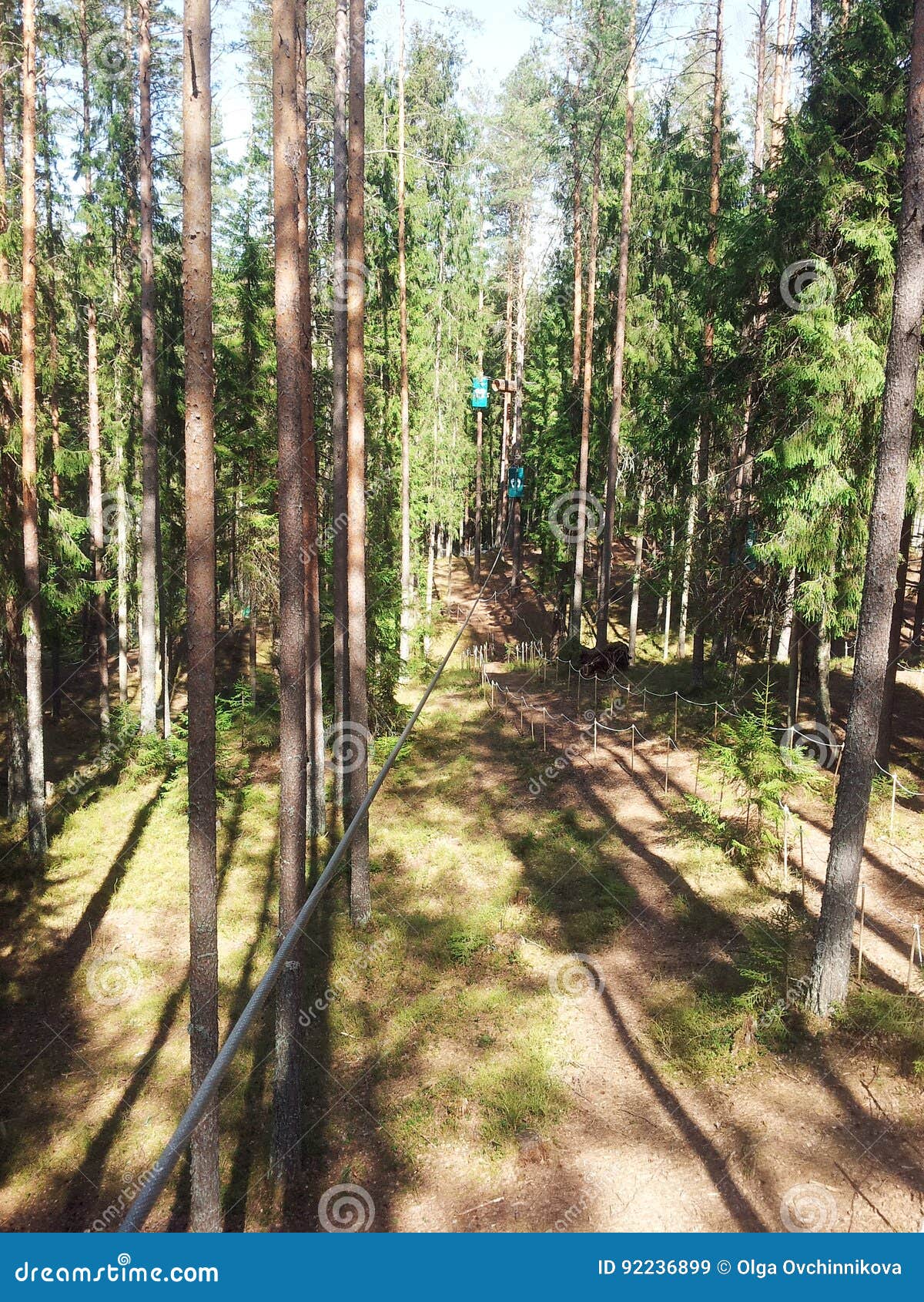 Rope Park in a Pine Forest. Rope Track for Passage at Height. Stock ...