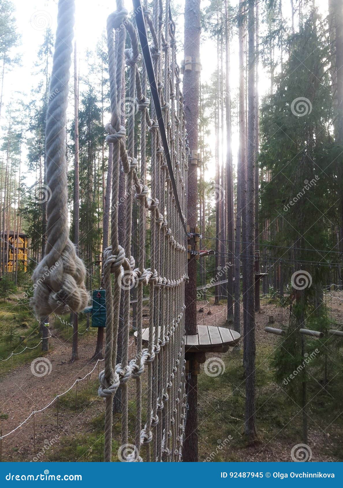Rope Park in a Pine Forest. Rope Track for Passage at Height. Stock ...