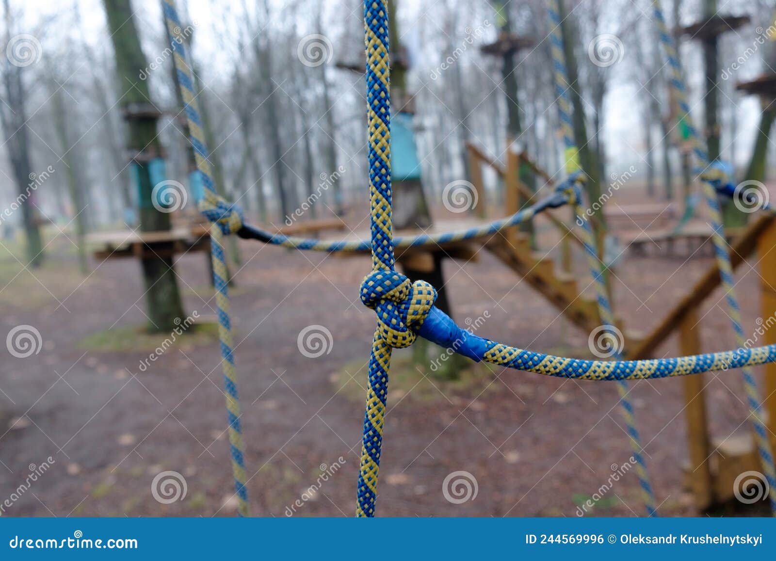 Rope Park Structures on Trees Stock Photo - Image of park, height ...
