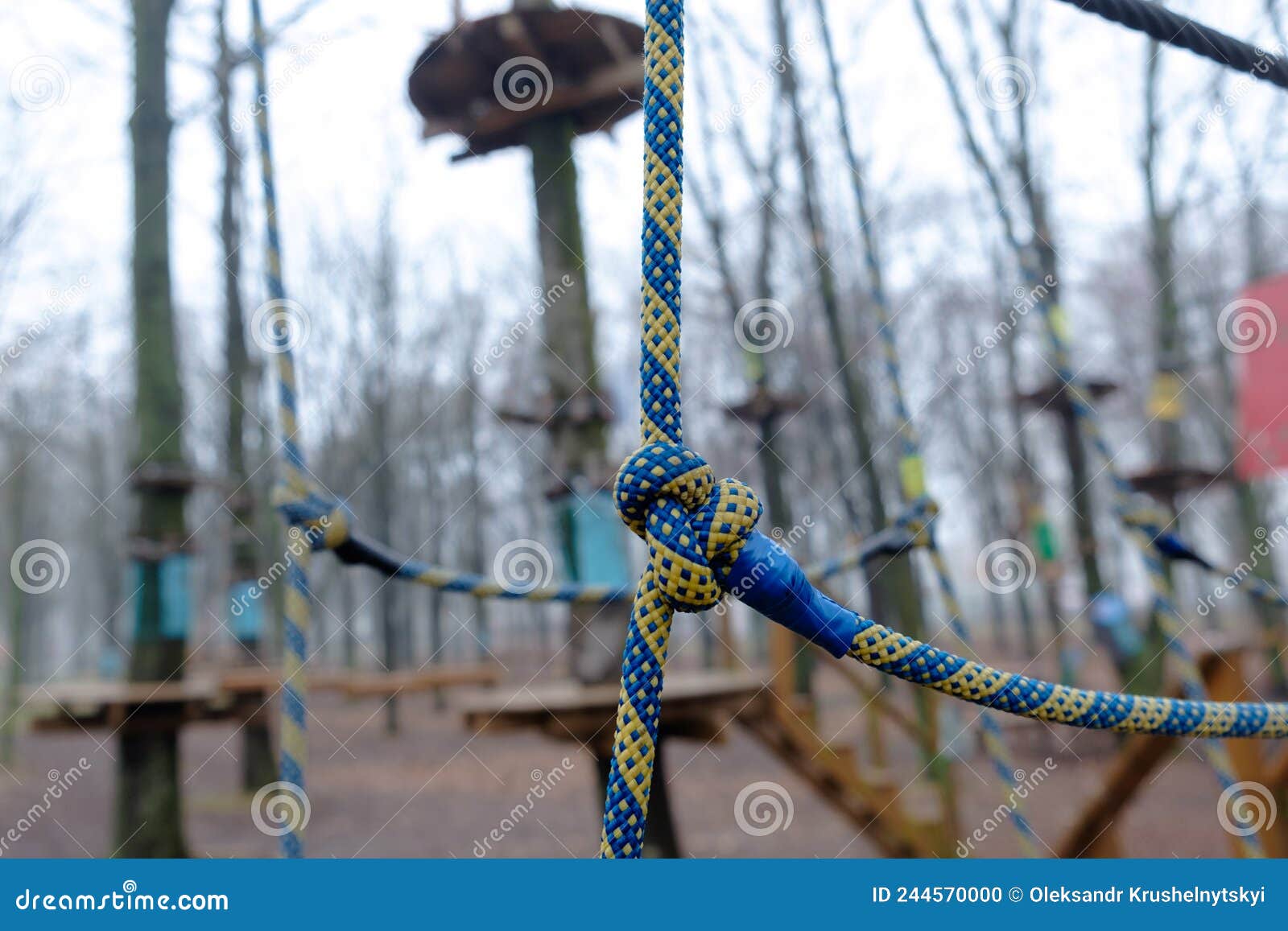 Rope Park Structures on Trees Stock Photo - Image of climbing, green ...