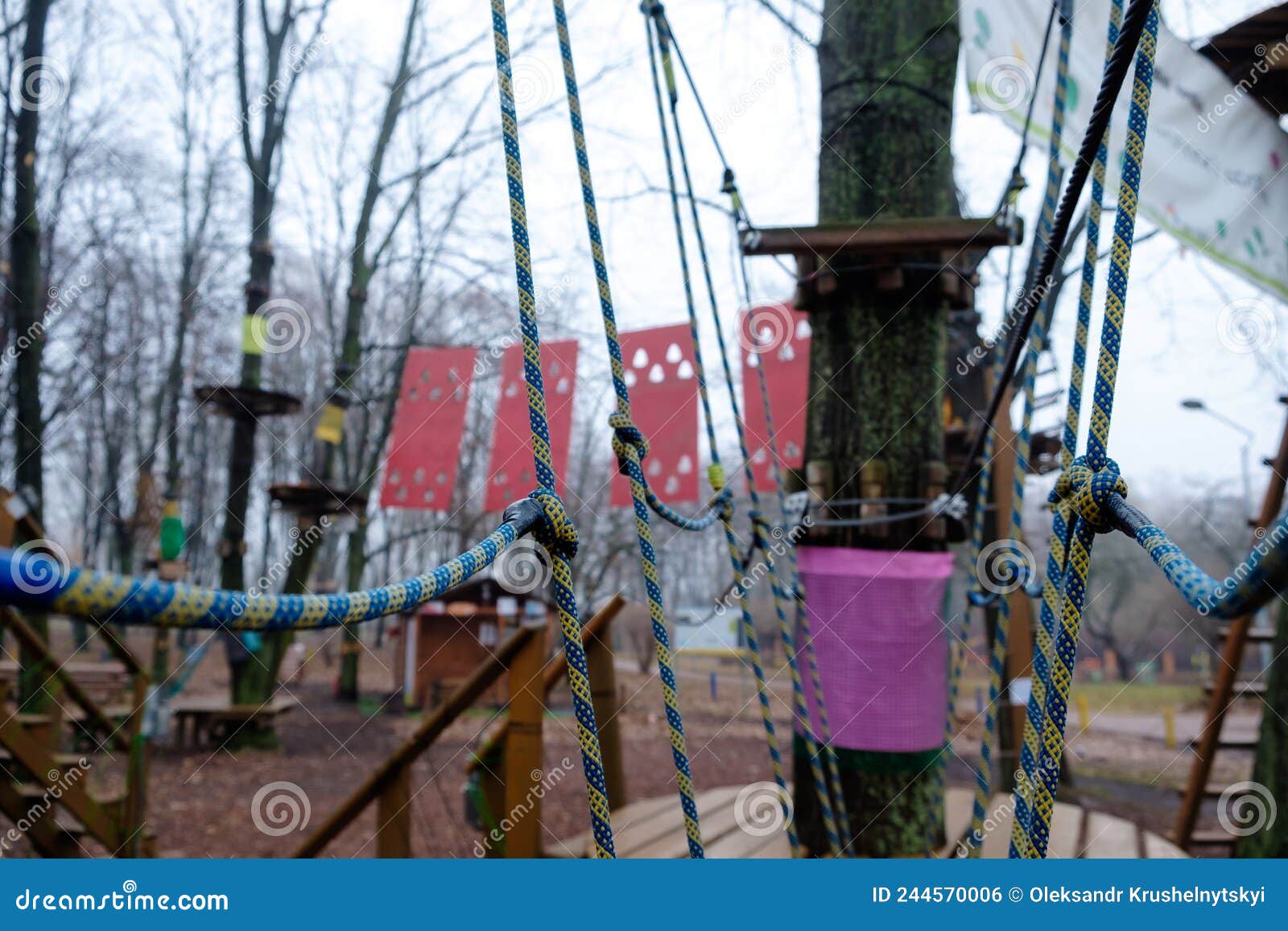Rope Park Structures on Trees Stock Photo - Image of green, challenge ...