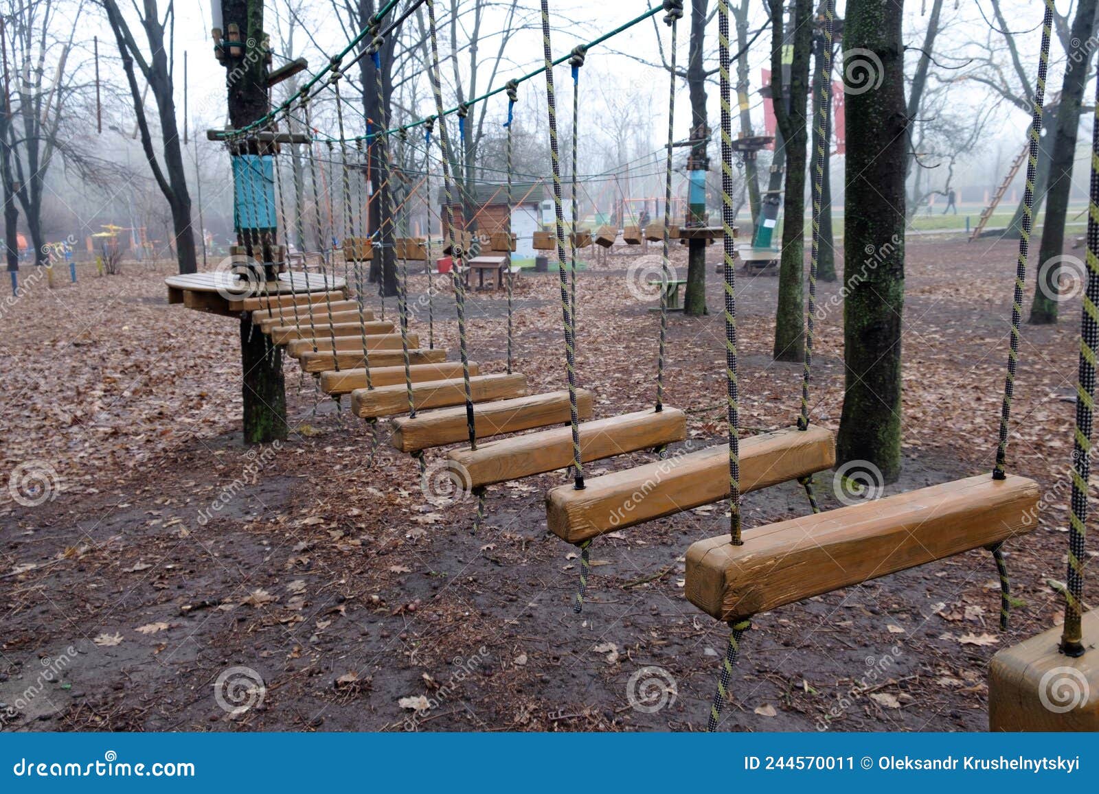 Rope Park Structures on Trees Stock Image - Image of rope, brave: 244570011