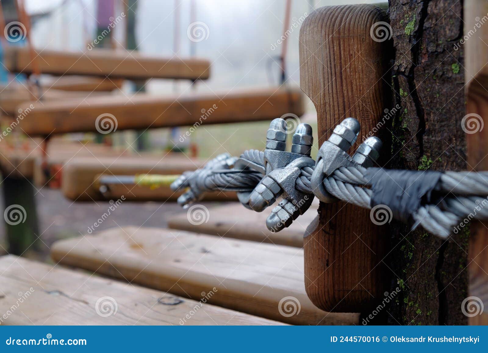 Rope Park Structures on Trees Stock Photo - Image of risk, play: 244570016