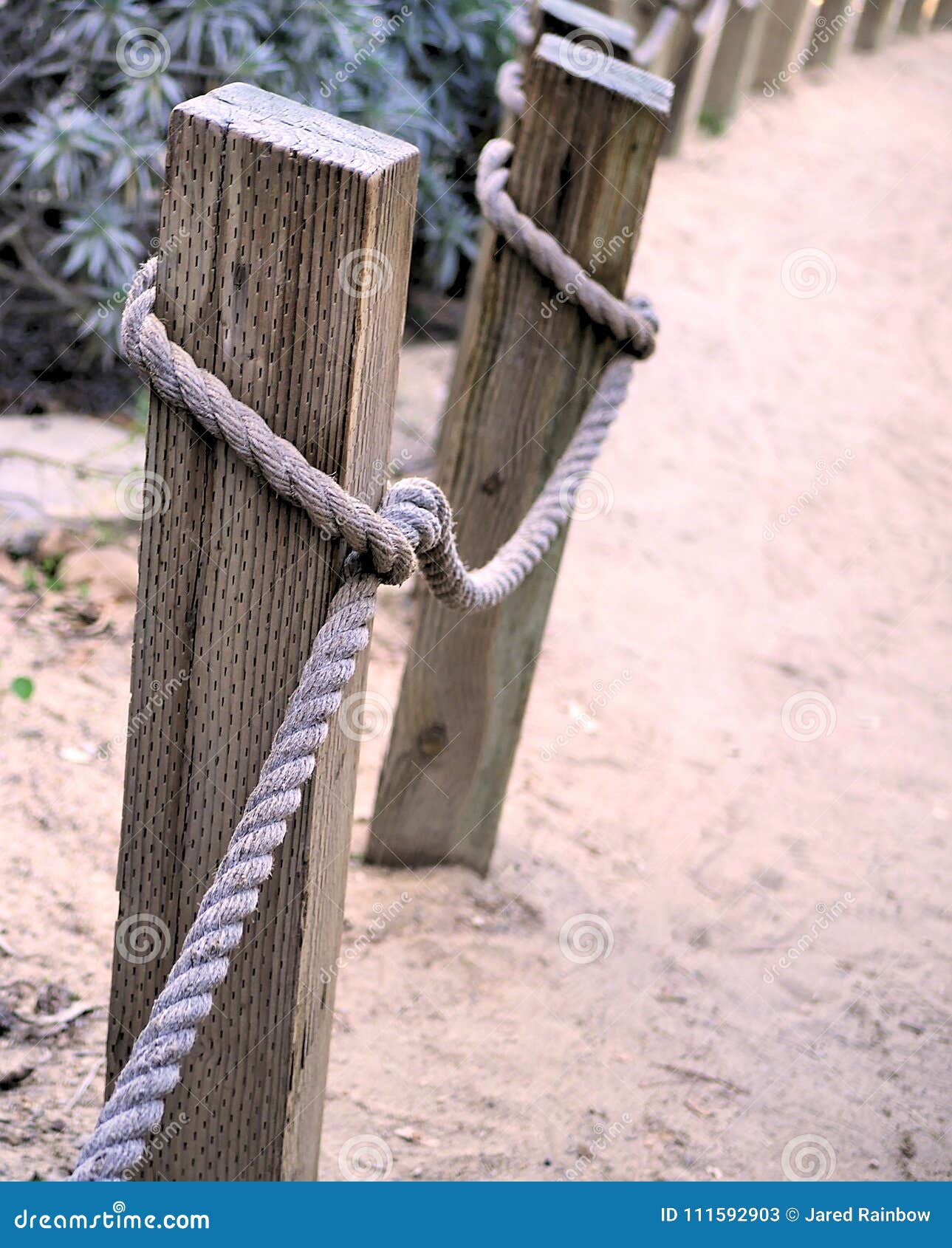 Rope Path Leading To California Beach and Ocean. Stock Image - Image of ...