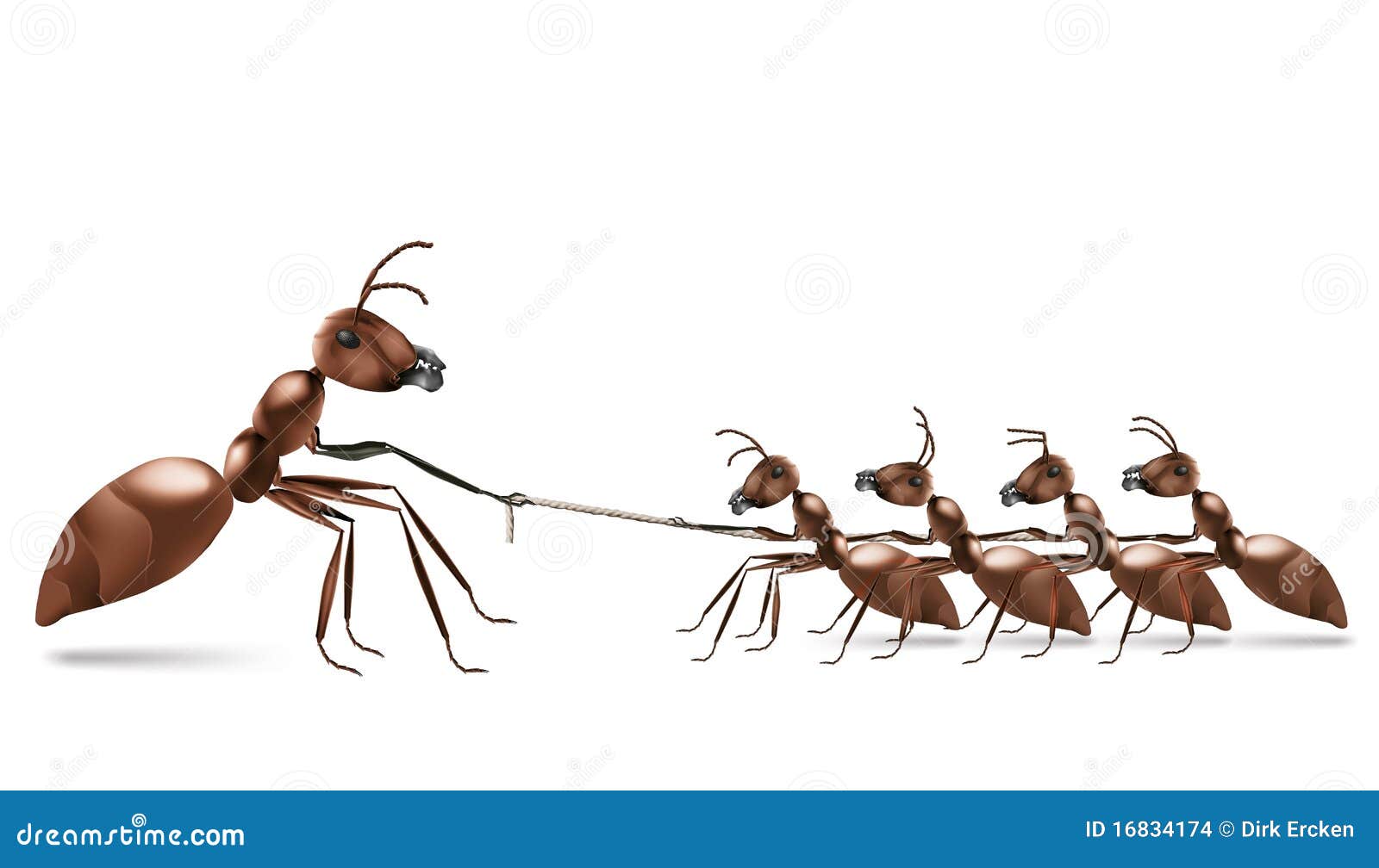 Rope Pulling Tug of War Business Competition Rival Stock Illustration ...