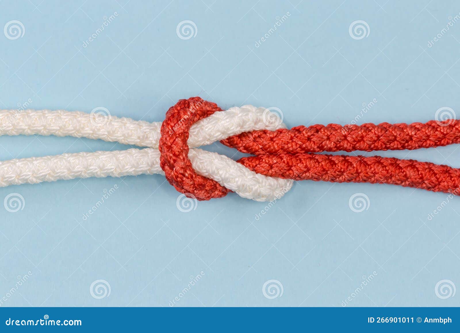 Rope Reef Knot Close-up on a Blue Background Stock Image - Image of ...