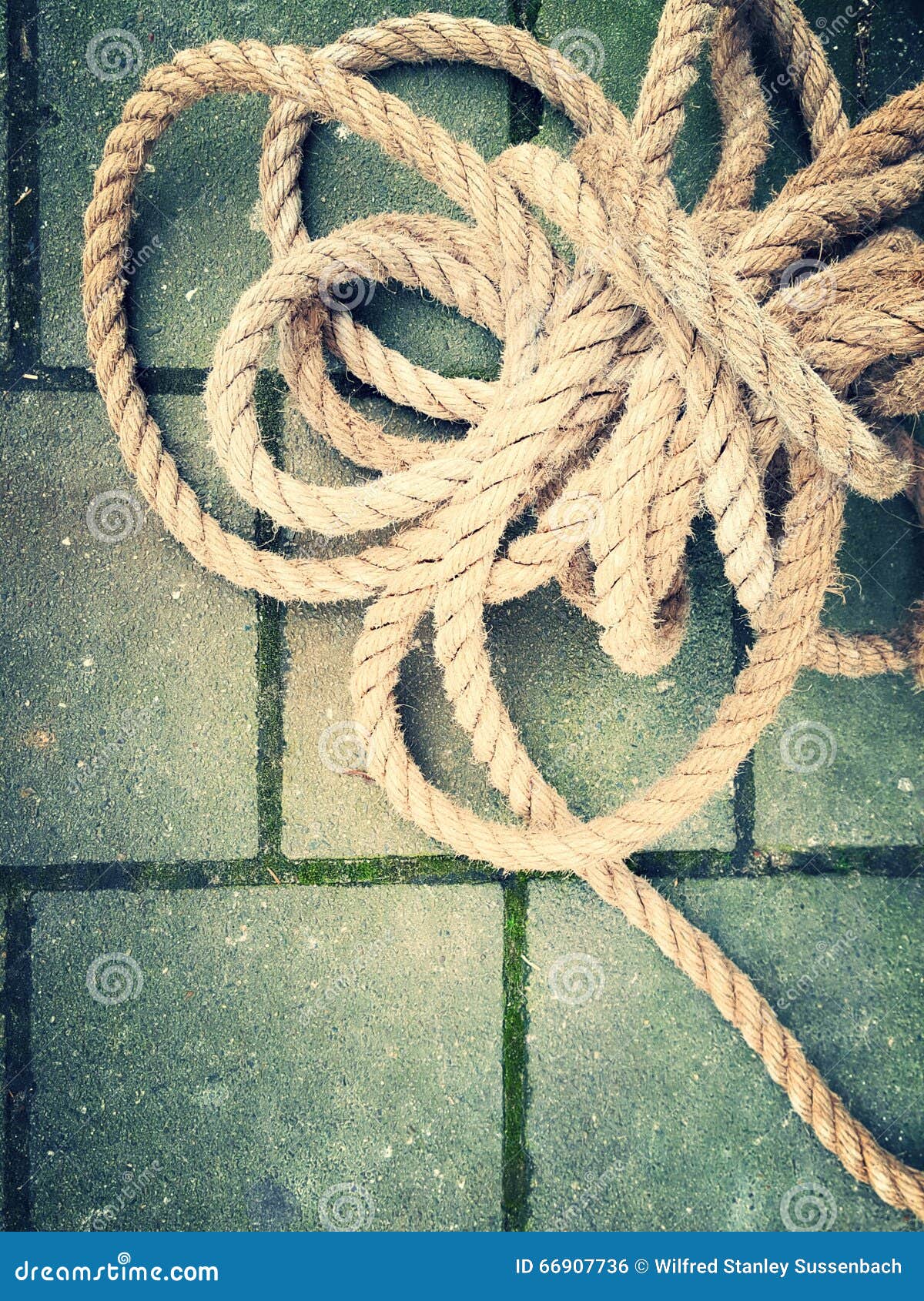 Rope stock photo. Image of lines, rope, grey, vivid, brown - 66907736