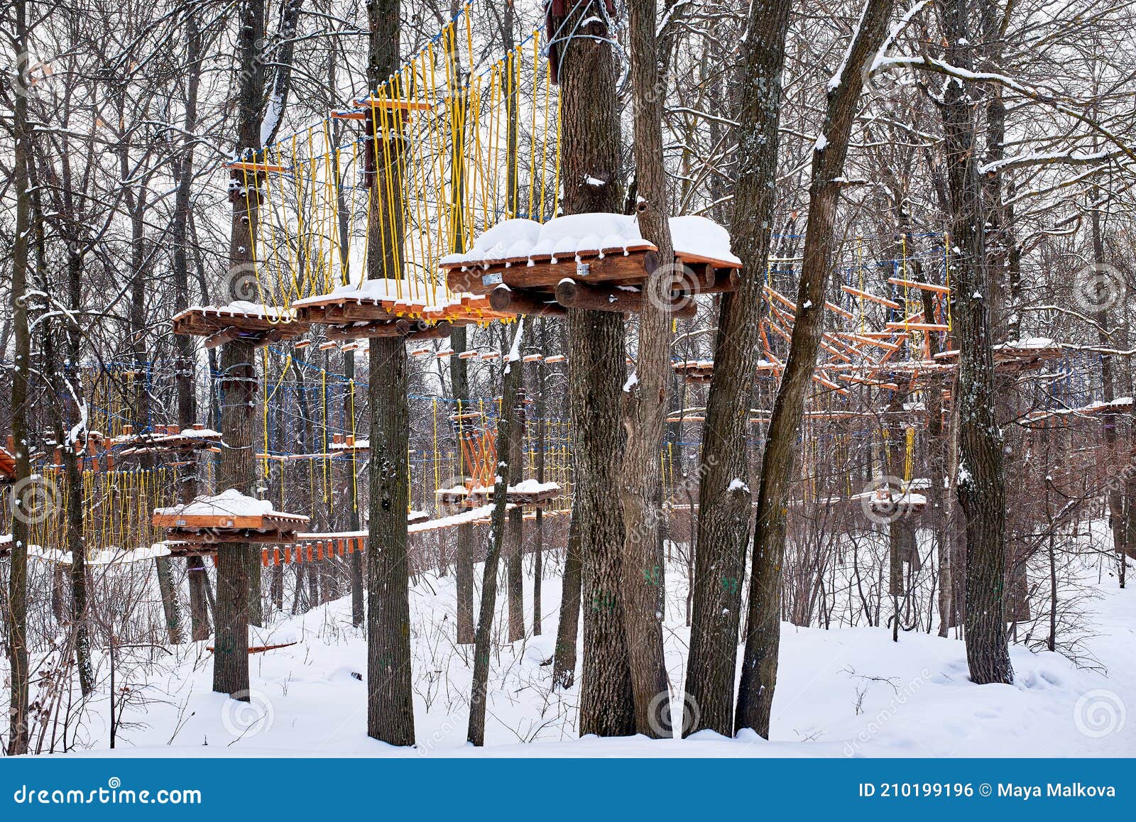 Rope Ride in the Park. Platforms and Ropes between Trees Stock Photo ...