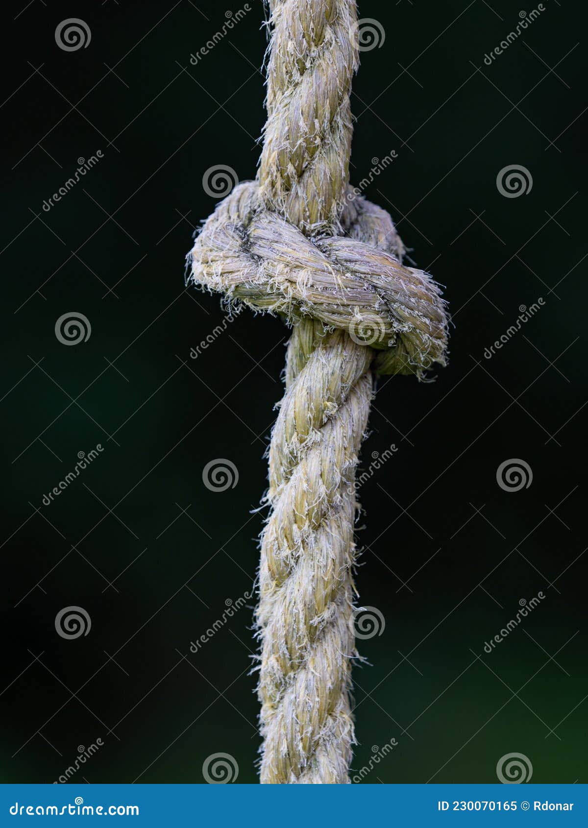 Rope Ring Knot Hanging on Wooden Beam, Trees in Background Stock Image ...