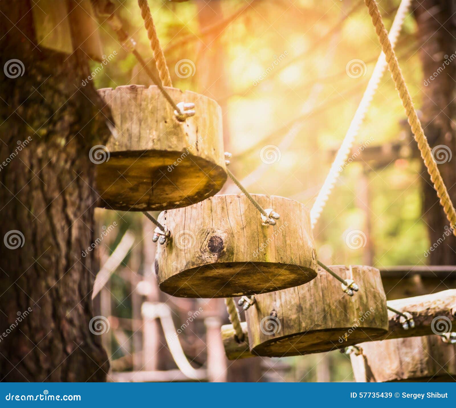 Rope Road of Logs in Climbing Forest Stock Image - Image of outdoors ...