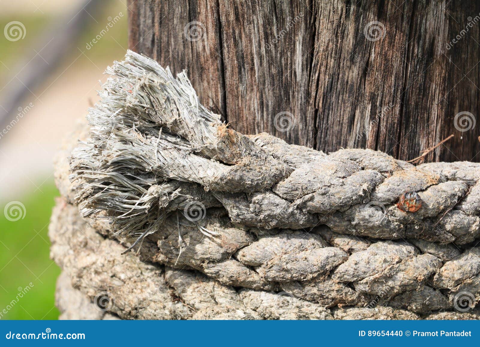 Rope Roll Background and Texture Stock Photo - Image of background ...