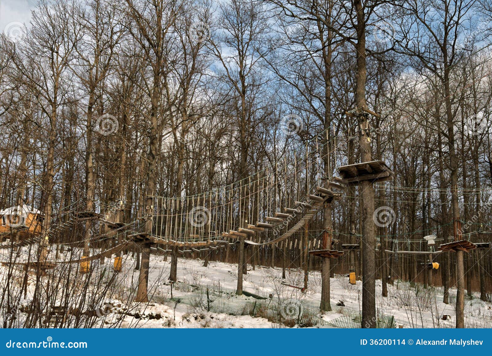Rope route in the forest. stock photo. Image of action - 36200114