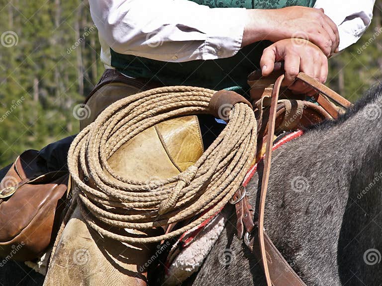 Rope on Saddle stock image. Image of blanket, horse, bags - 14375587