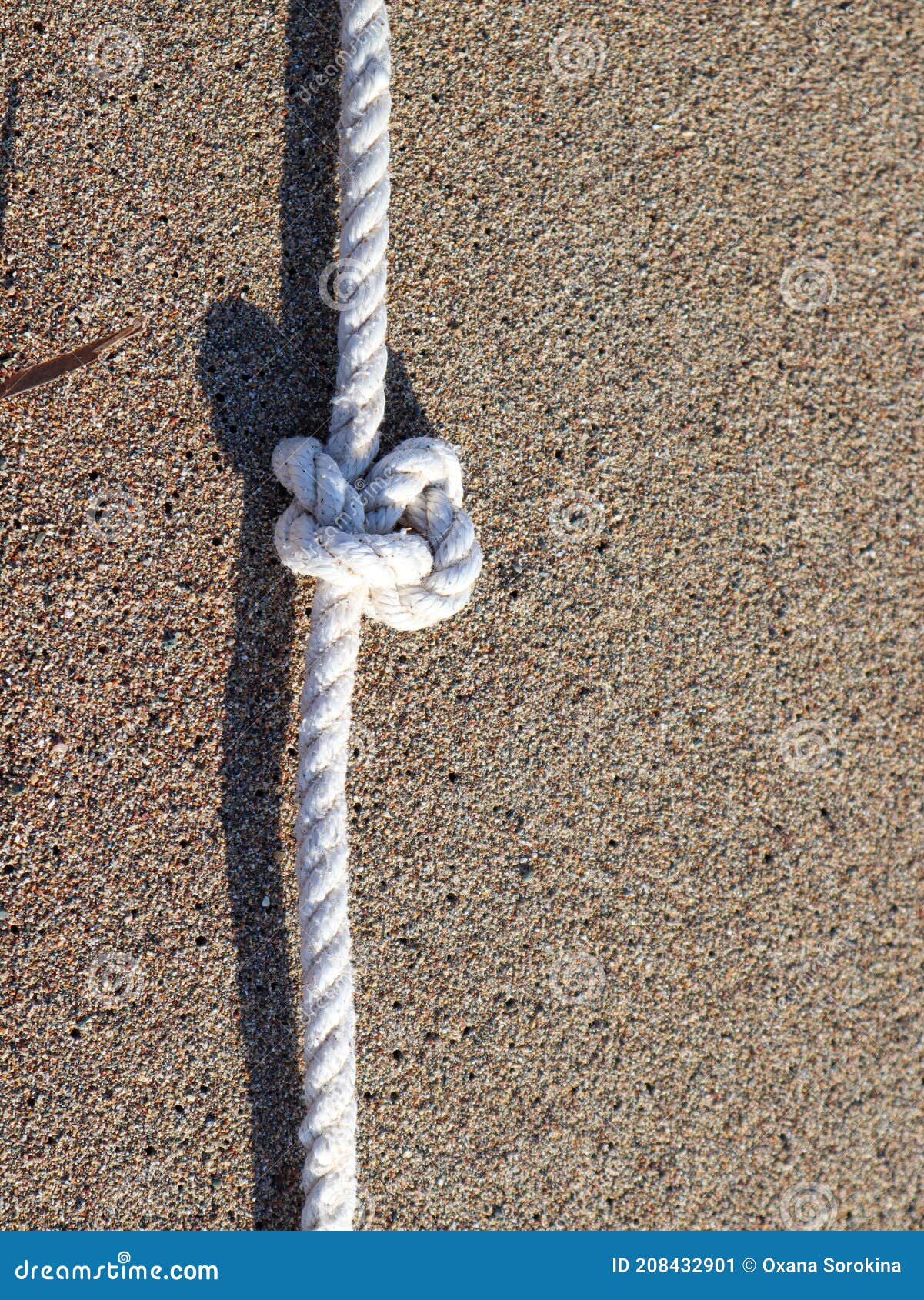 Rope with Sea Knots Lying on the Sandy Seashore Stock Image - Image of ...