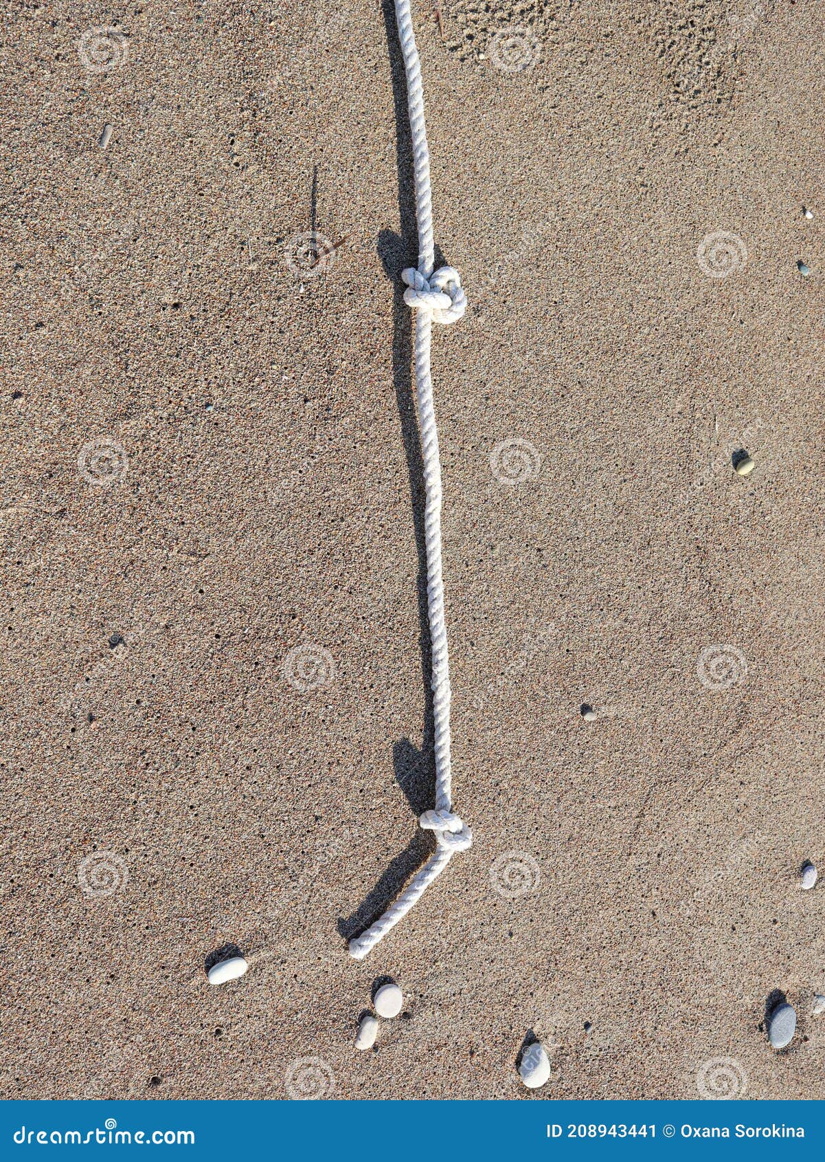 Rope with Sea Knots Lying on the Sandy Seashore Stock Image - Image of ...