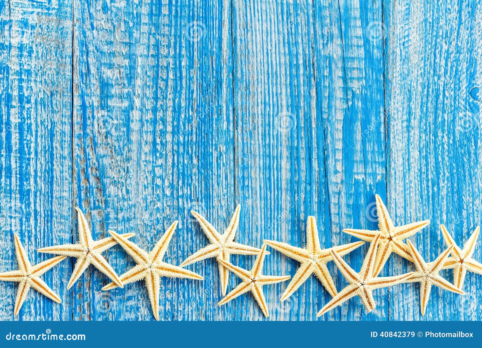 Rope and sea shells stock image. Image of rope, paper - 40842379