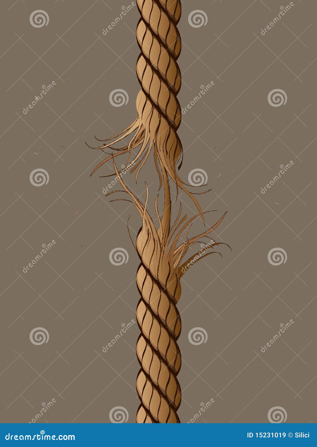 Rope Set 2 stock vector. Illustration of path, cordage - 15231019