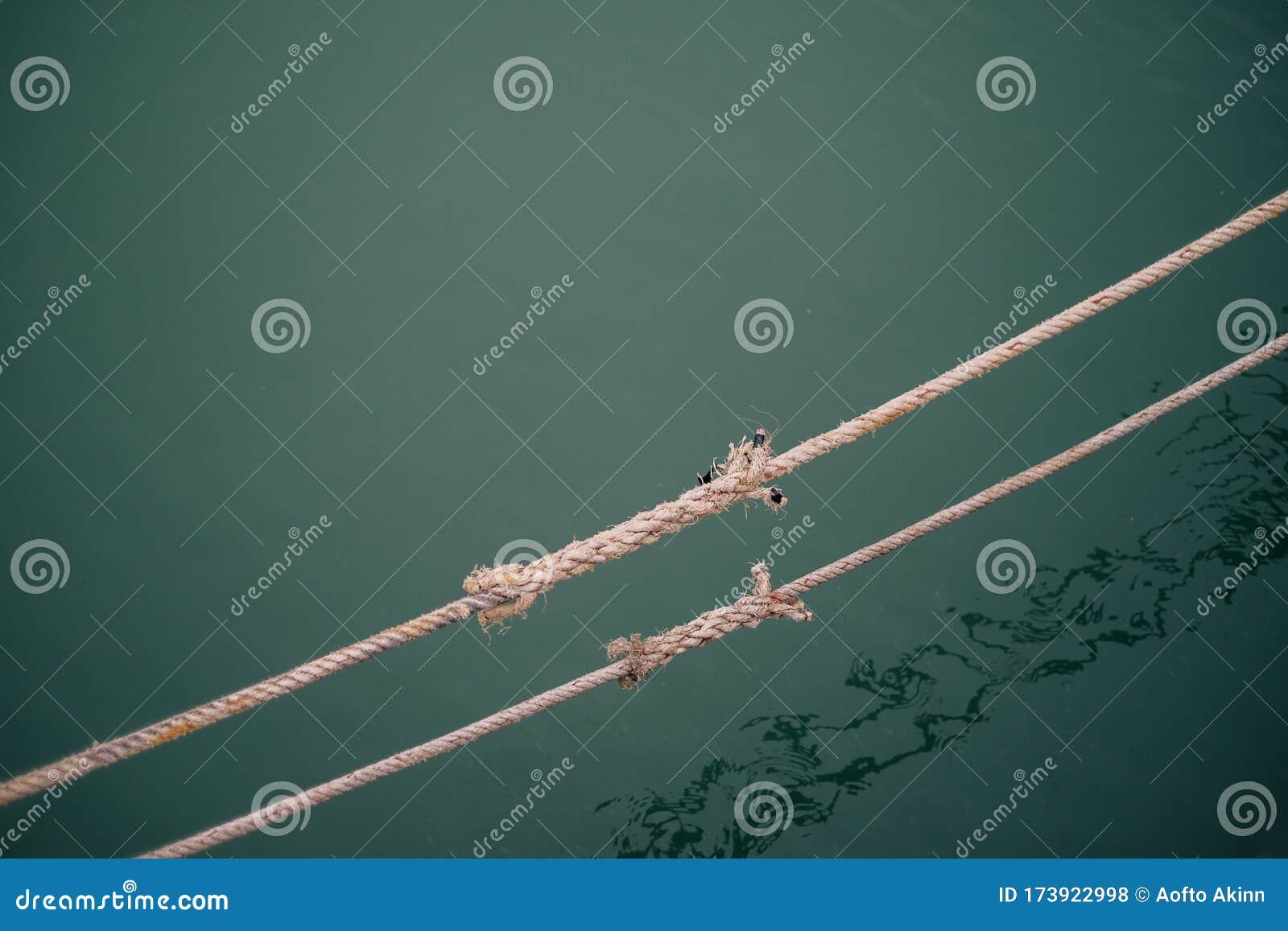 Rope and shadow on the sea stock photo. Image of wild - 173922998
