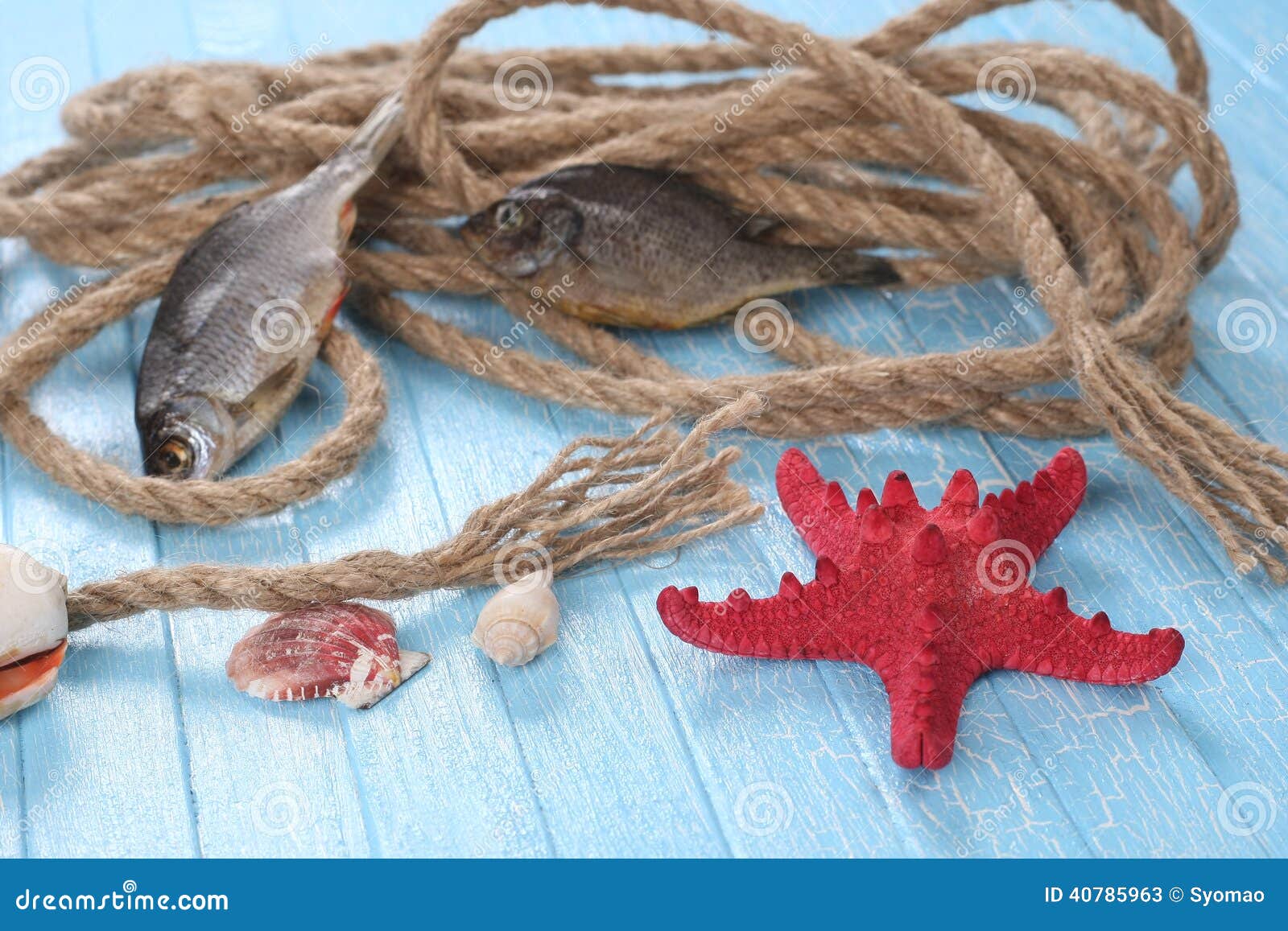 Rope Shells Starfish On Wooden Boards Royalty-Free Stock Image ...