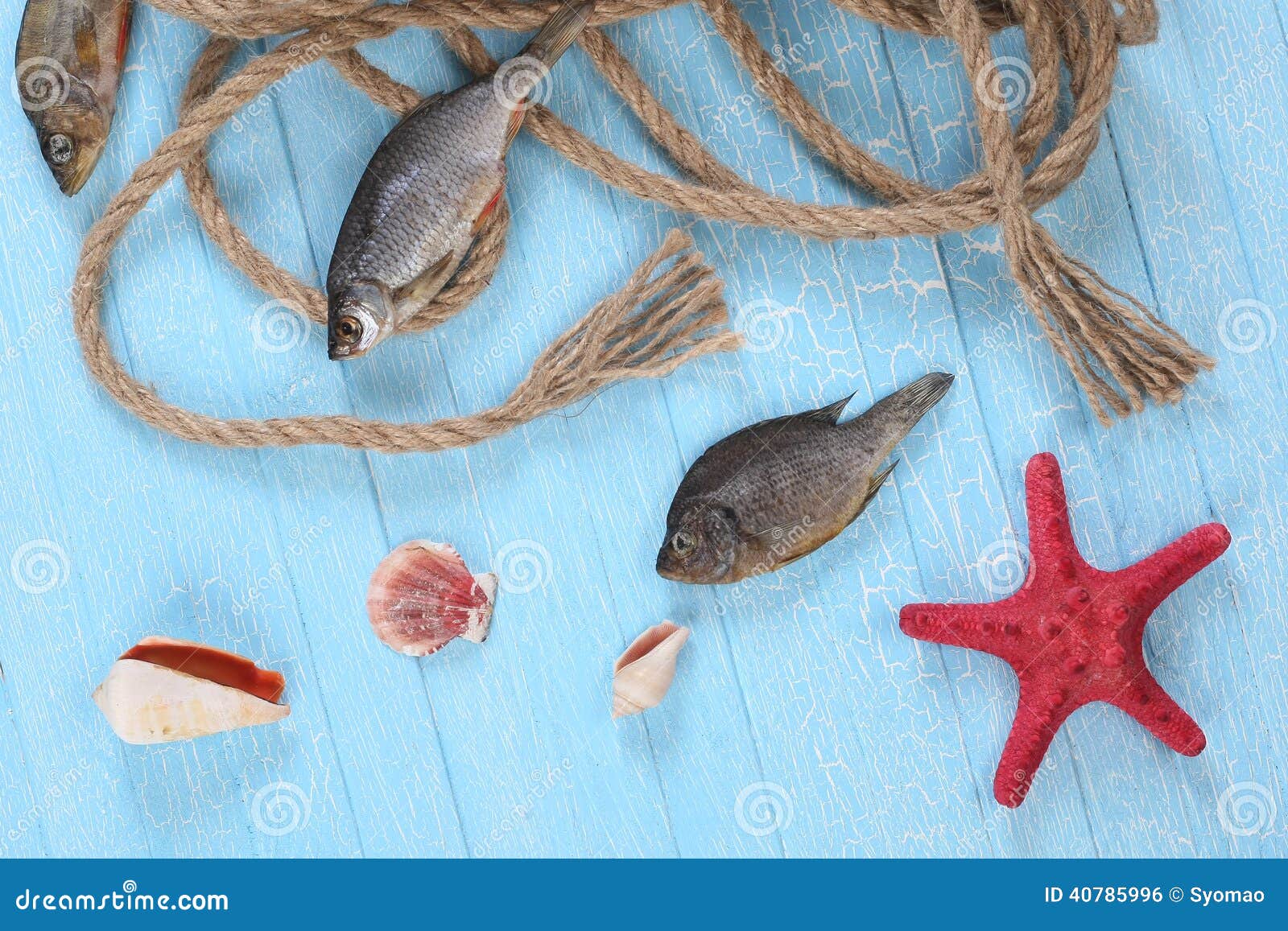 Rope Shells Starfish On Wooden Boards Royalty-Free Stock Image ...