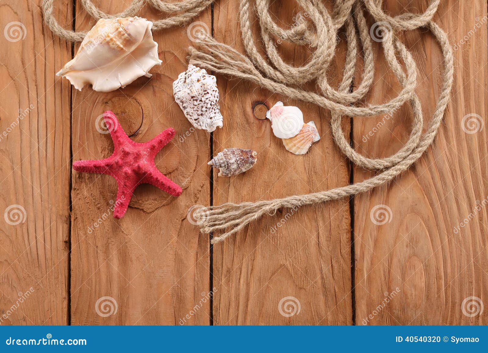Rope Shells Starfish On Wooden Boards Stock Photo | CartoonDealer.com ...