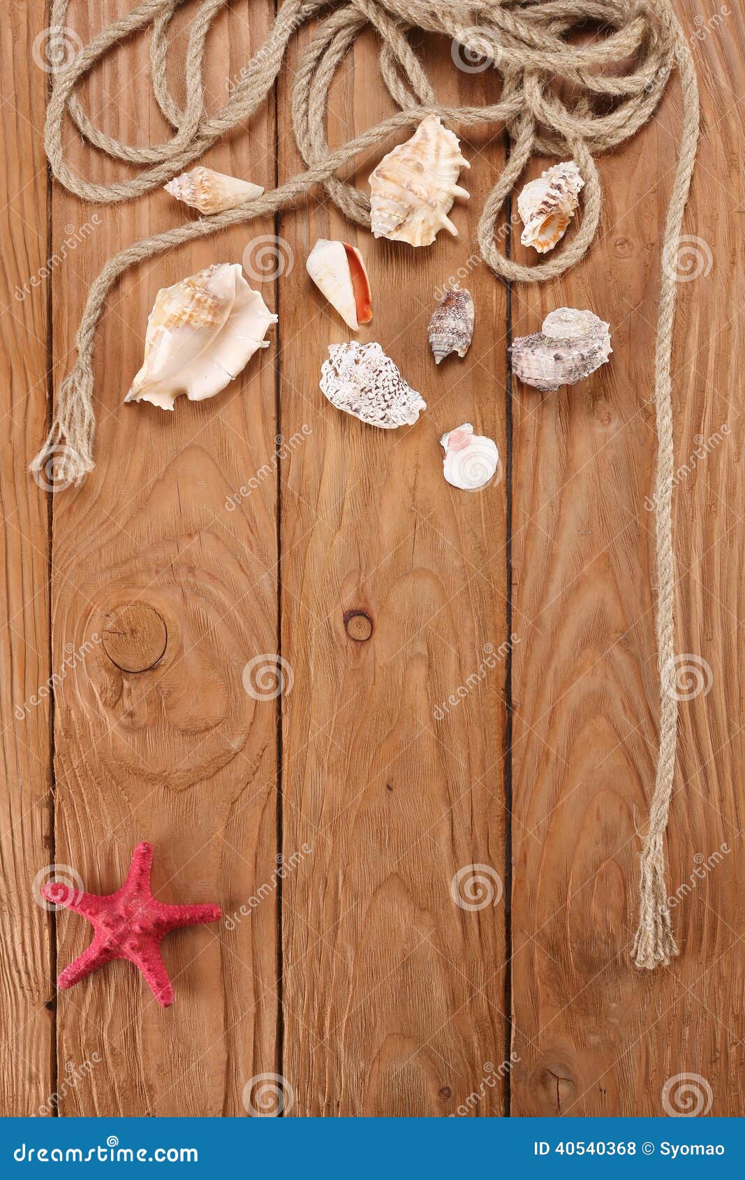 Rope Shells Starfish On Wooden Boards Royalty-Free Stock Image ...