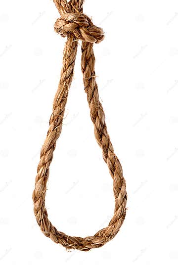 Rope in a Slip Knot on White Stock Photo - Image of loop, knot: 12426640
