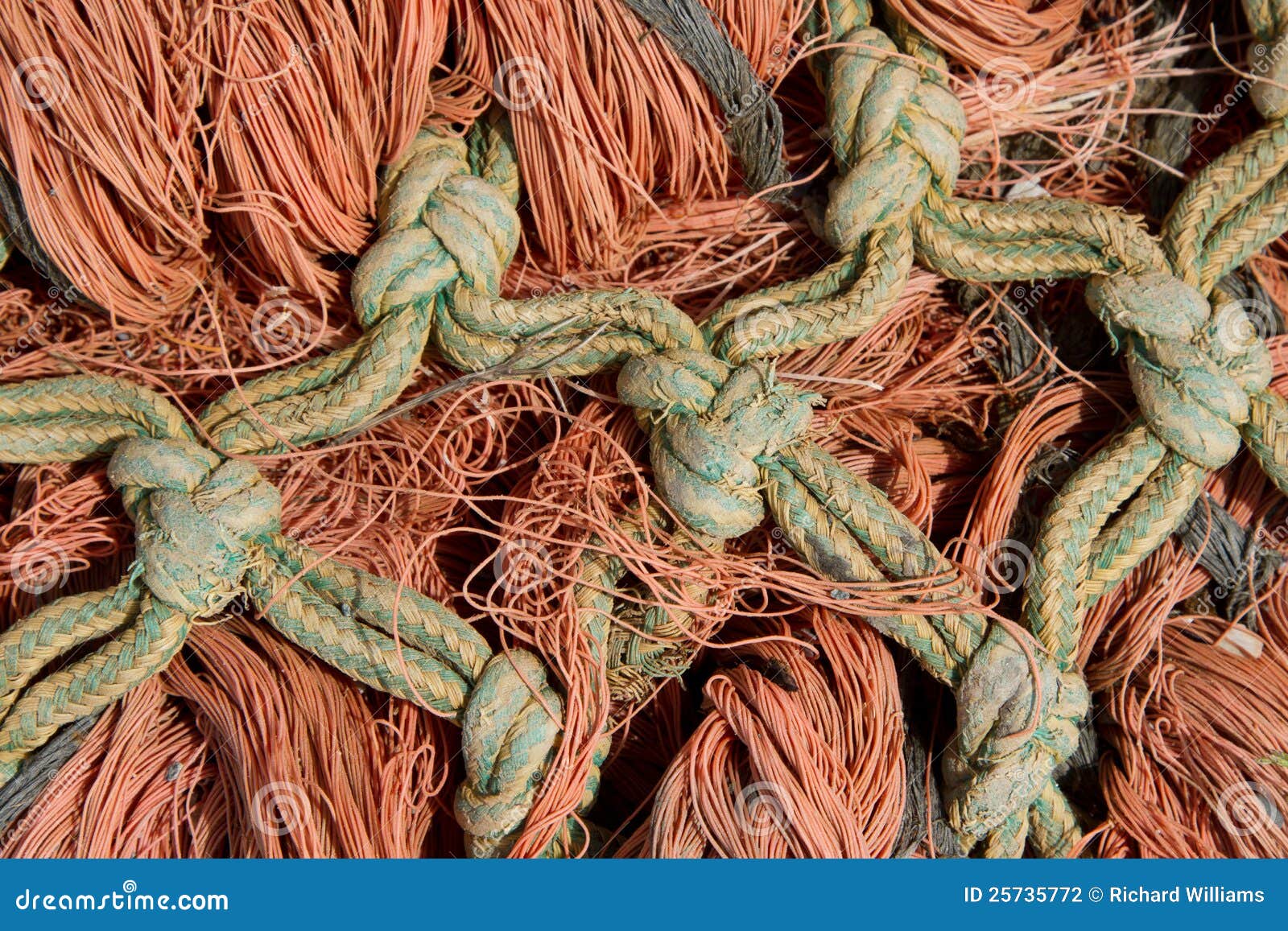 Rope strands. stock photo. Image of textures, background - 25735772