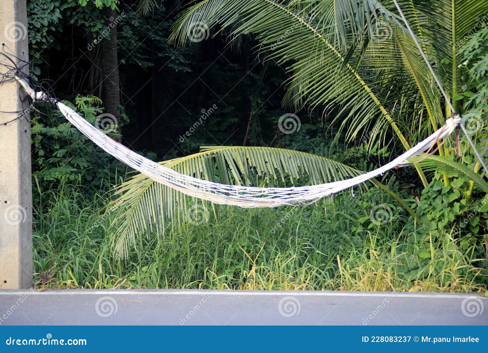 Rope Stretcher for Sitting or Lying Down Stock Image - Image of ...