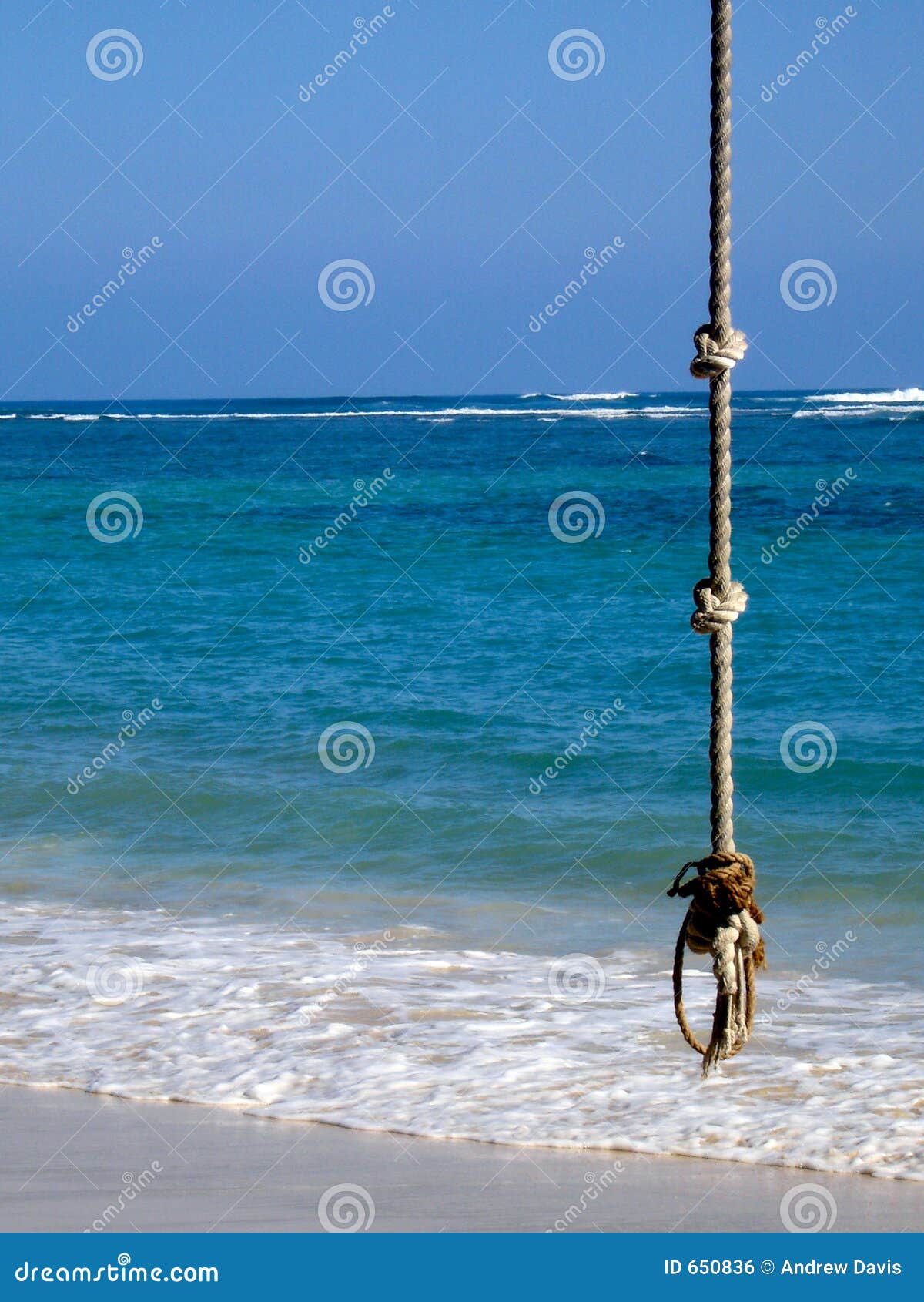 Rope Swing stock photo. Image of nature, coastline, clouds - 650836