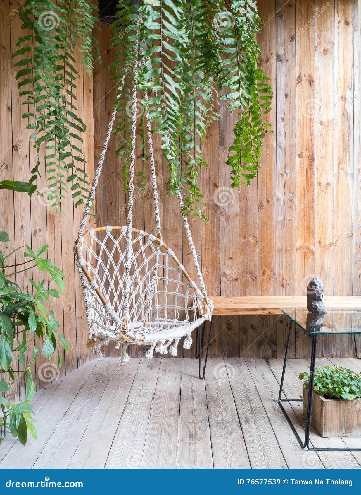 Rope swing chair stock image. Image of wind, lush, wooden - 76577539