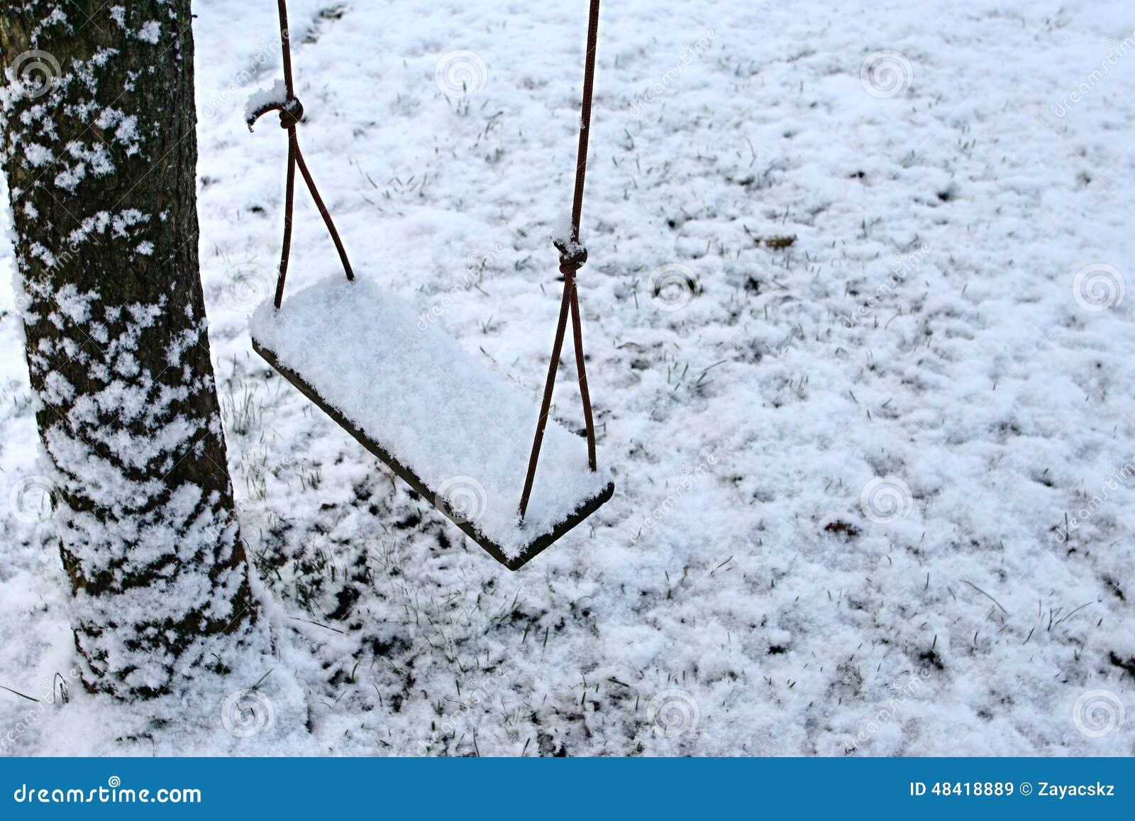 Rope Swing Hanging from a Tree Covered with Snow Stock Image - Image of ...