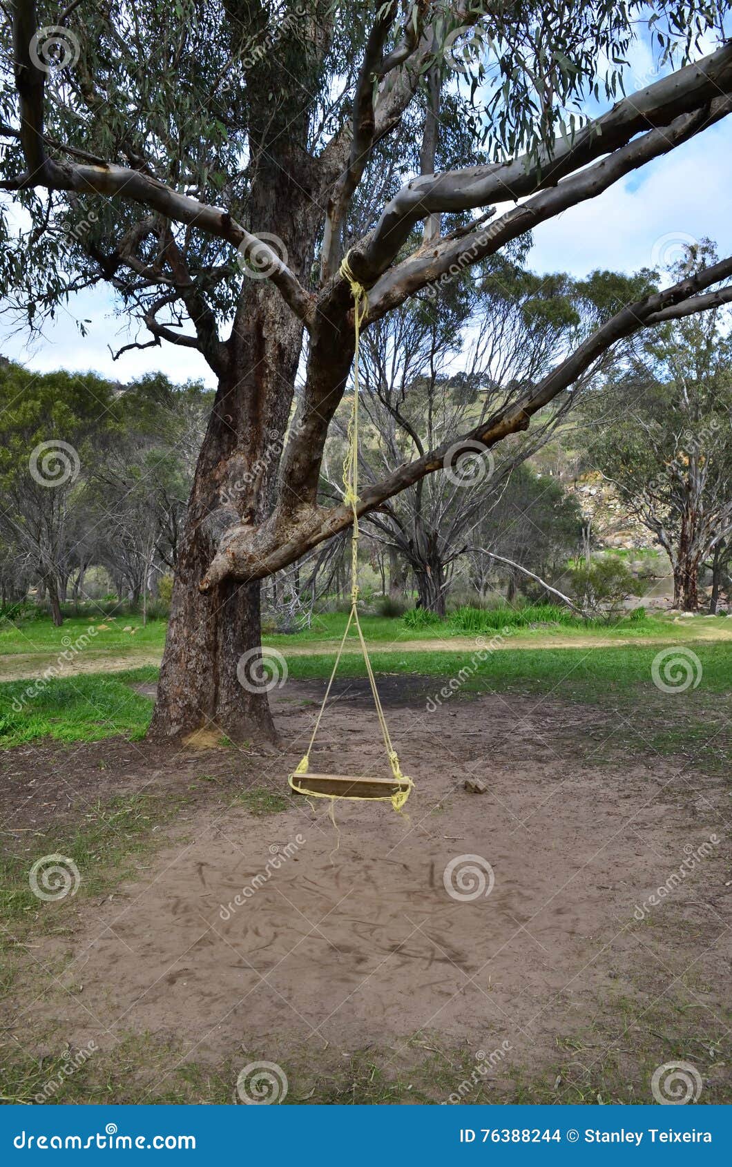Rope Swing stock photo. Image of play, nature, grass - 76388244