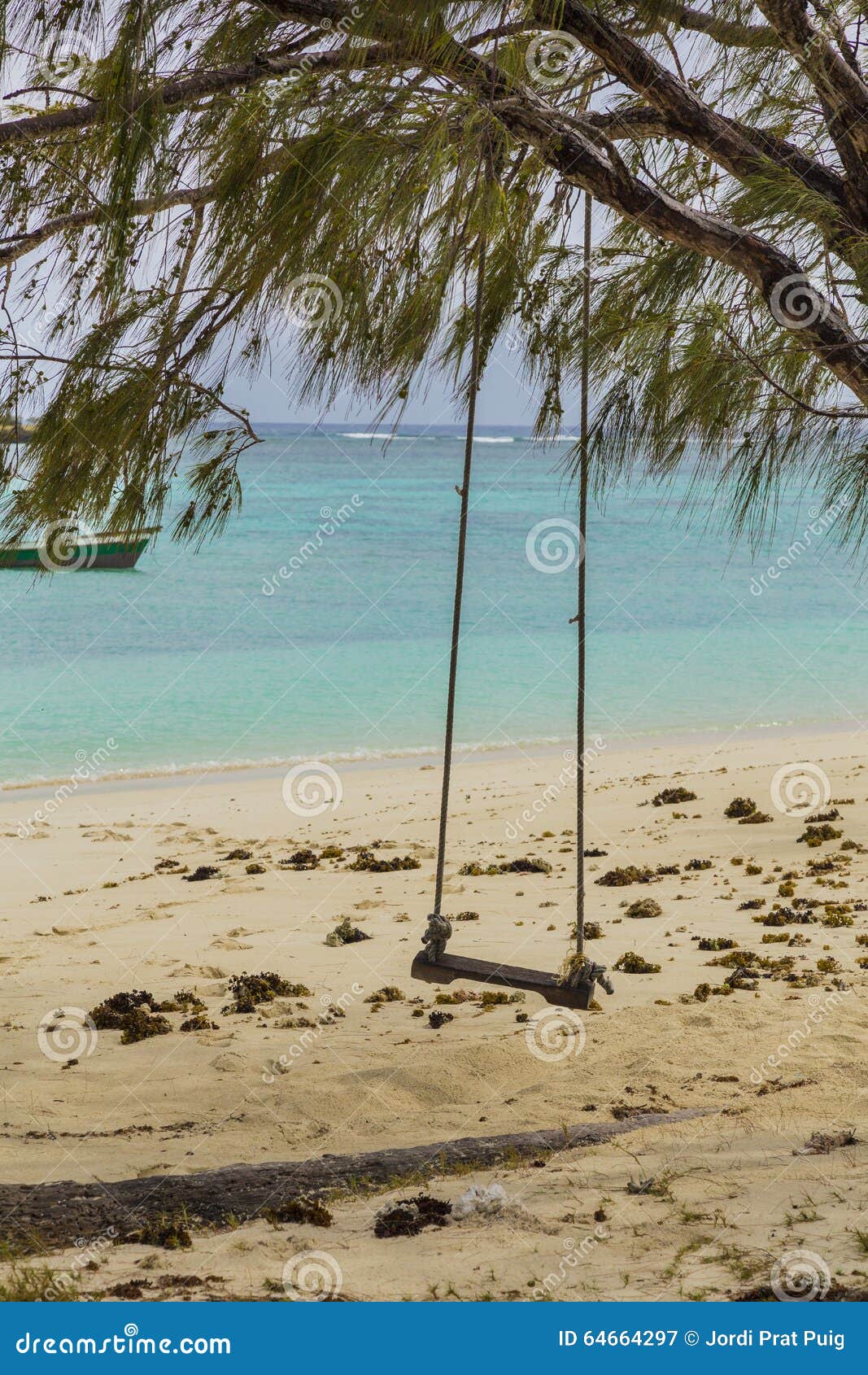 Rope Swing on a Tropical Beach Stock Image - Image of holidays, calm ...