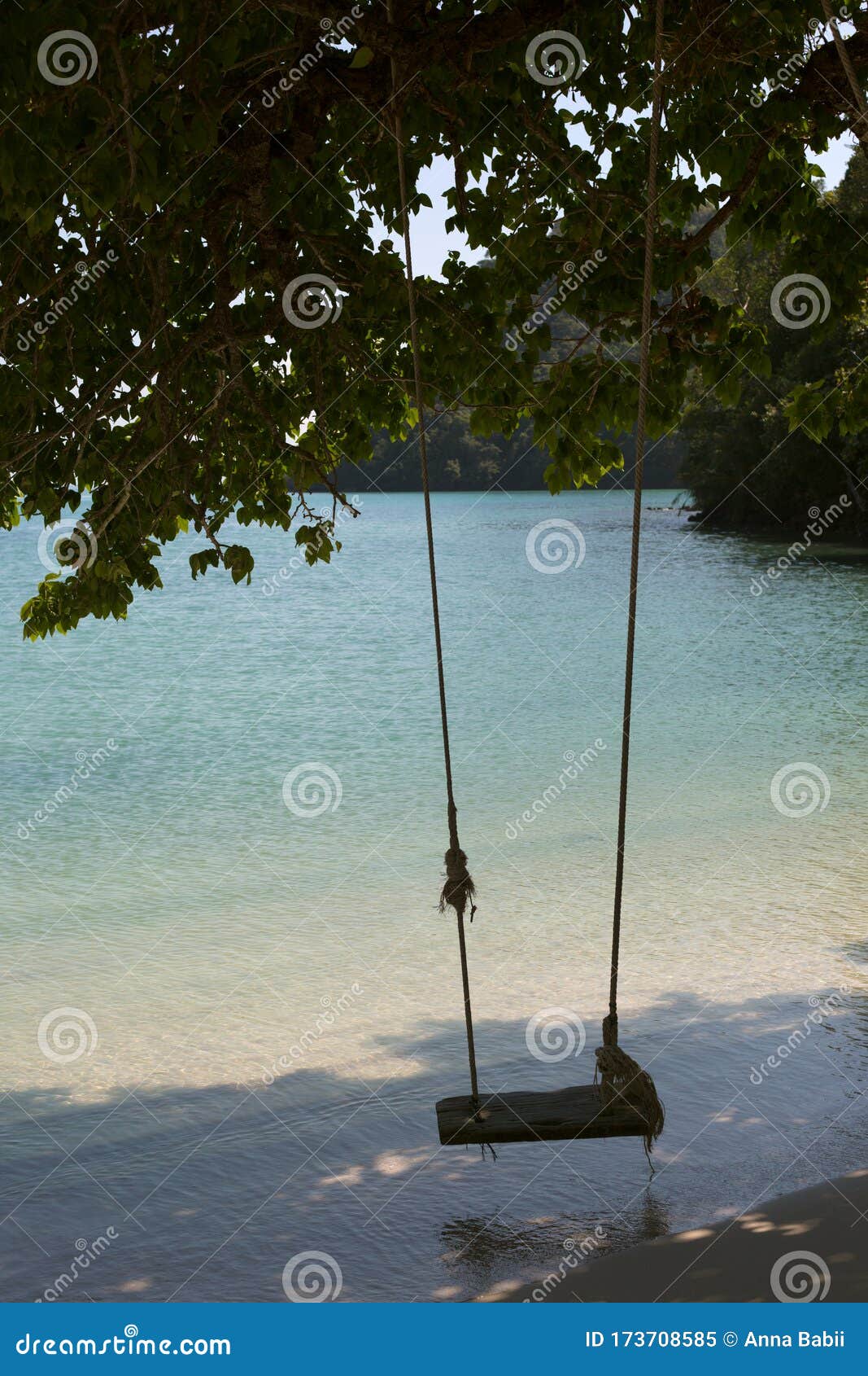 Rope Swing on Tropical Beach Tree. Summer Holiday. Stock Image - Image ...