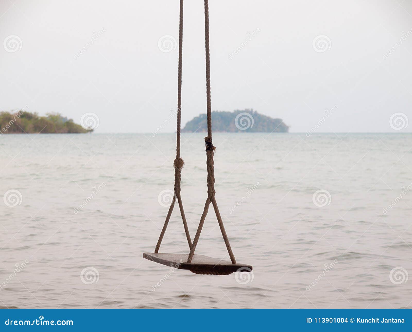 Rope Swing Under Tree on Ocean Beach Stock Photo - Image of shore ...
