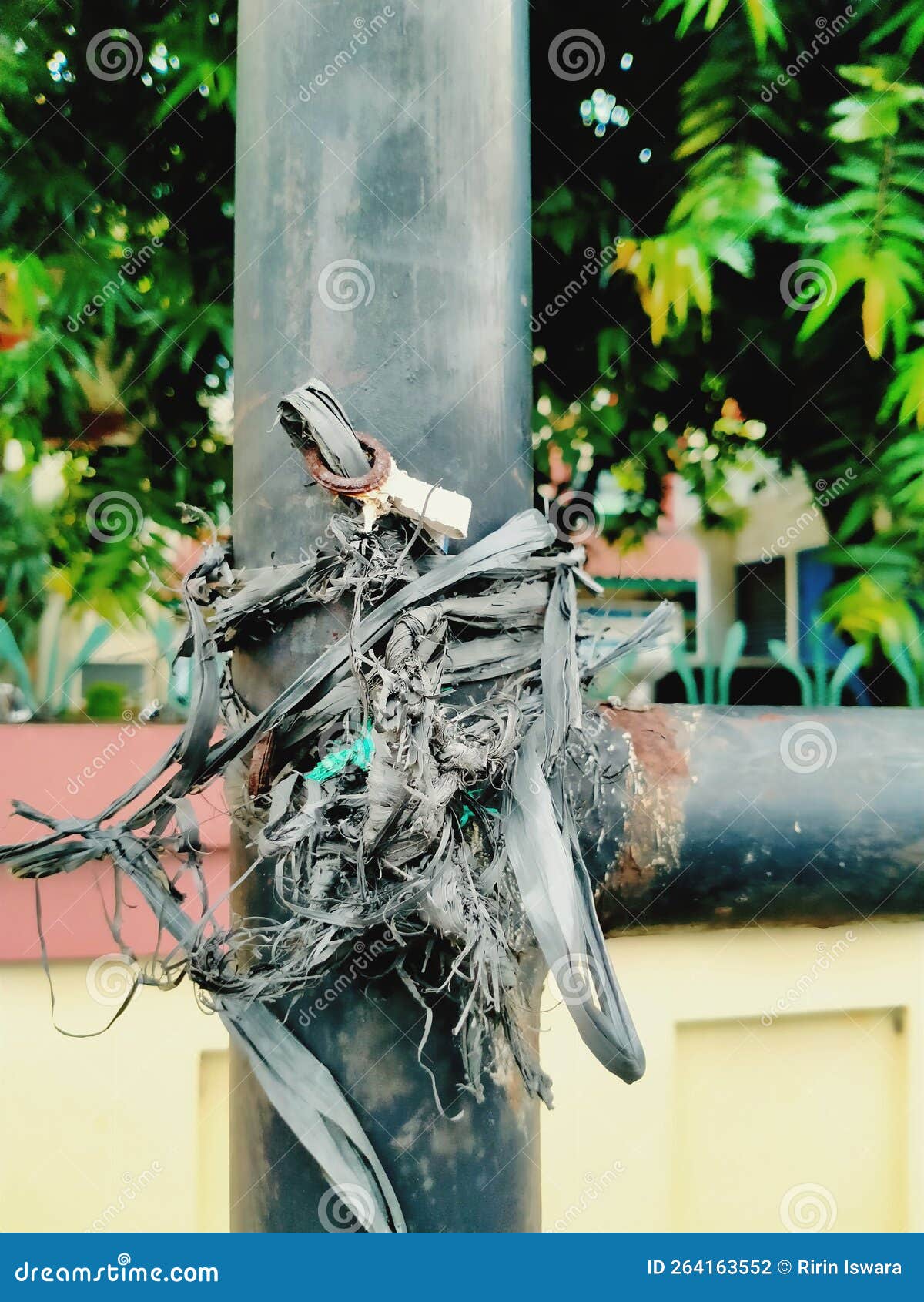 Rope tangled on the pole stock photo. Image of spring - 264163552