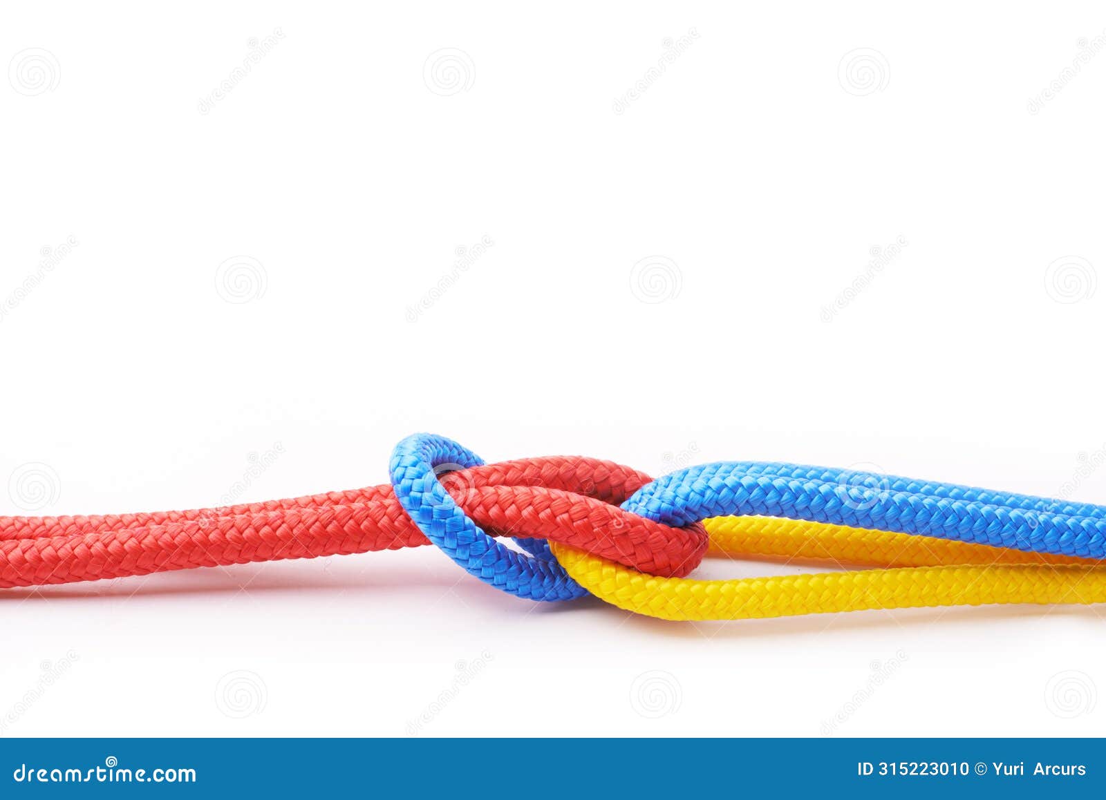 Rope, Teamwork and Collaboration in White Studio Background for ...