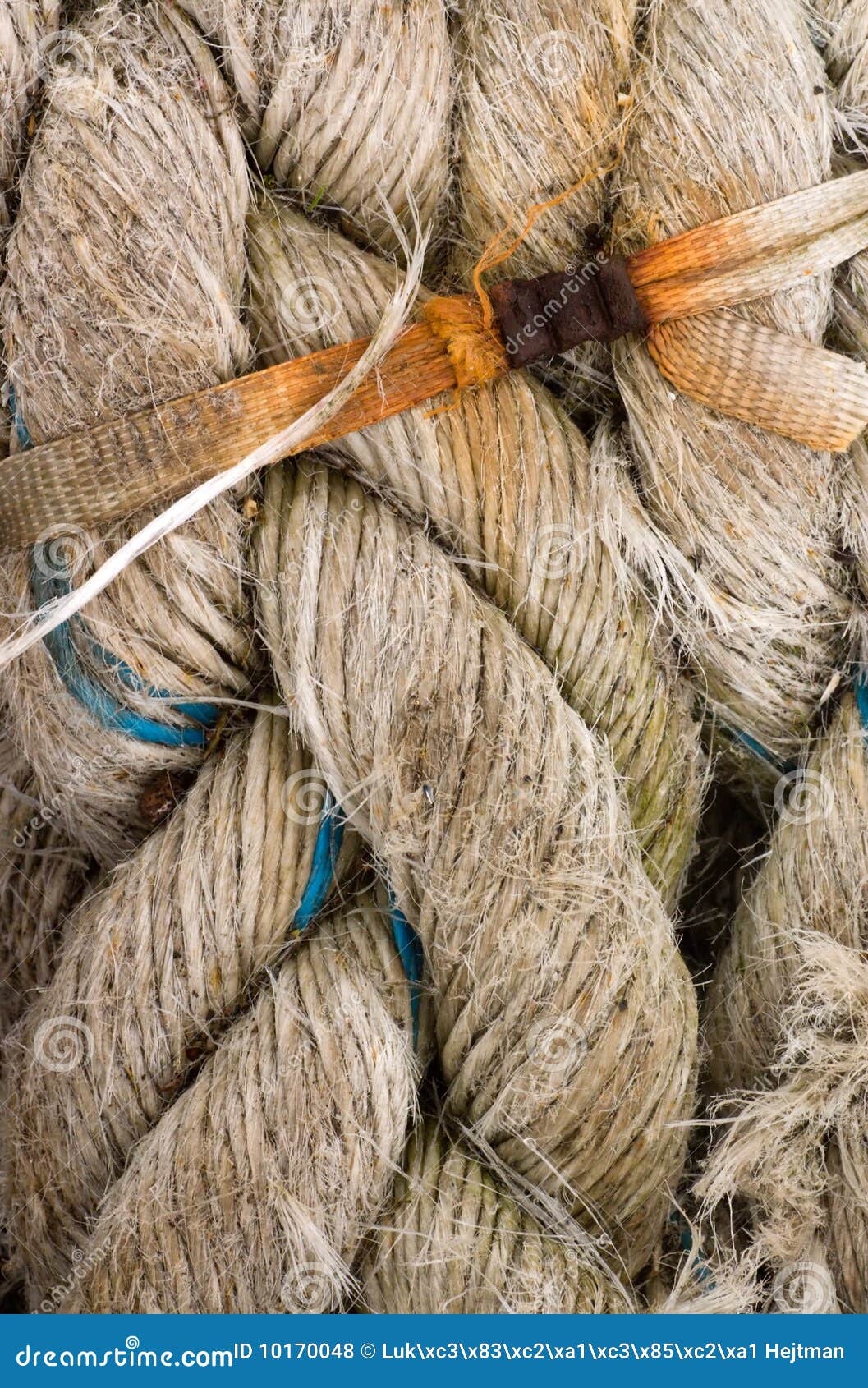 Rope Texture stock photo. Image of aged, binded, rope - 10170048