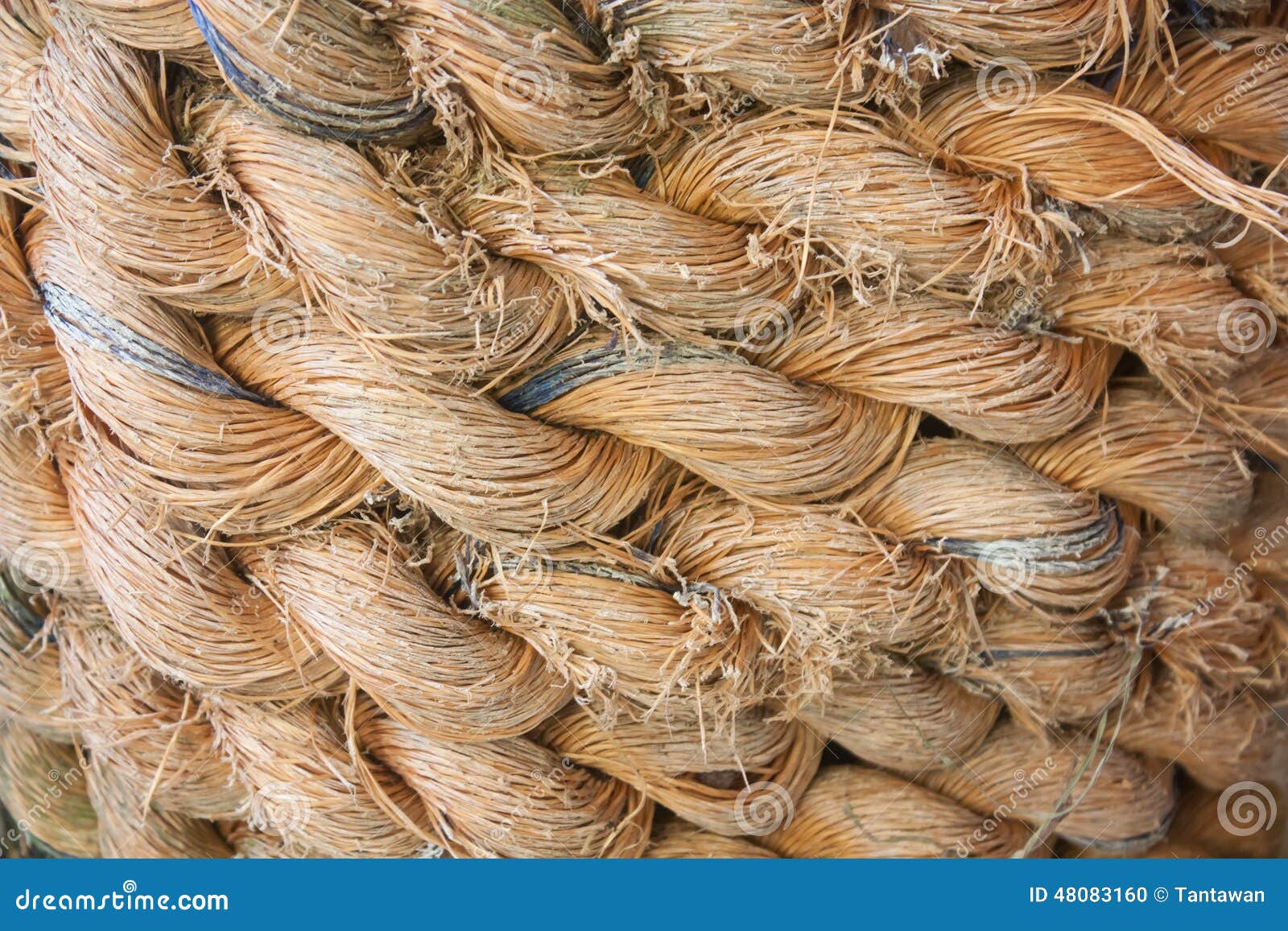 Rope Texture Stock Photo | CartoonDealer.com #48083160