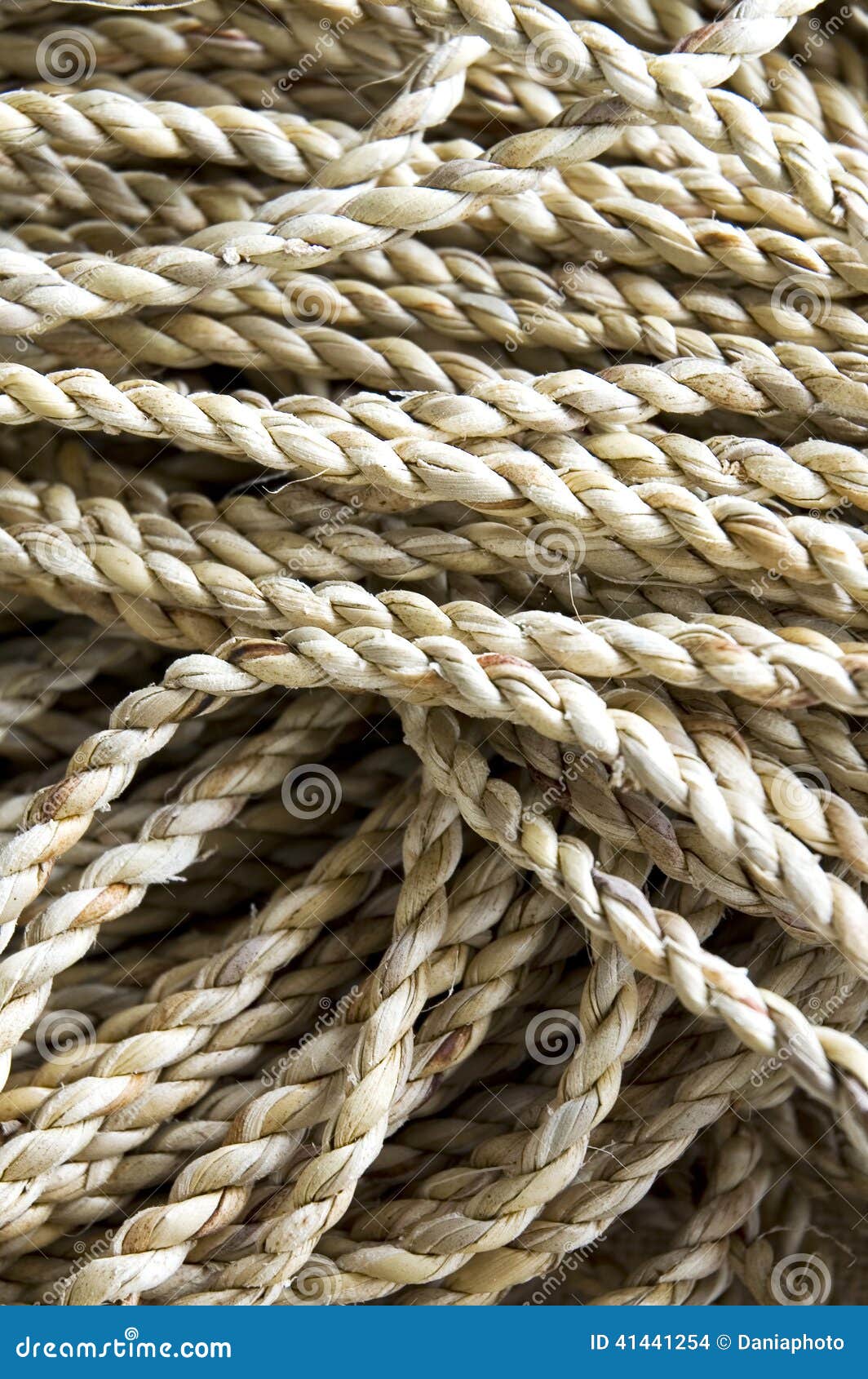 Rope texture stock photo. Image of knot, rope, line, close - 41441254