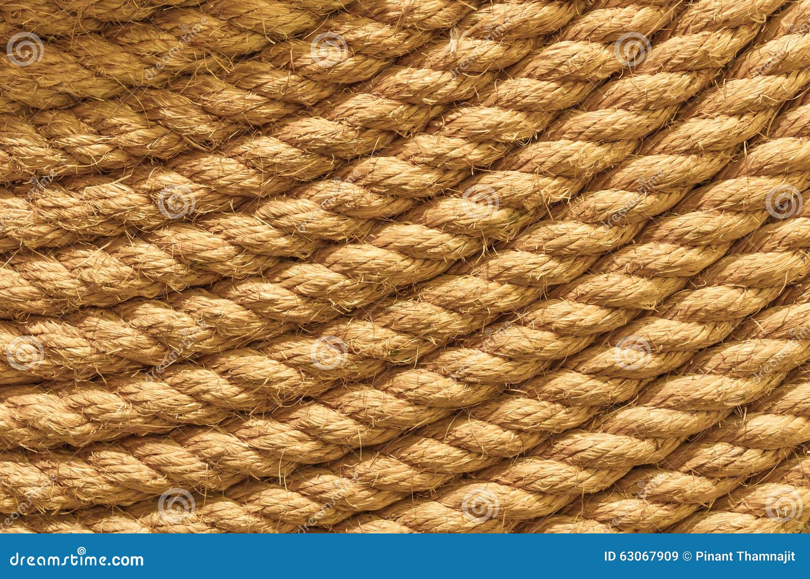 Rope Texture Roll in Circle Shape. Stock Image - Image of line, texture ...
