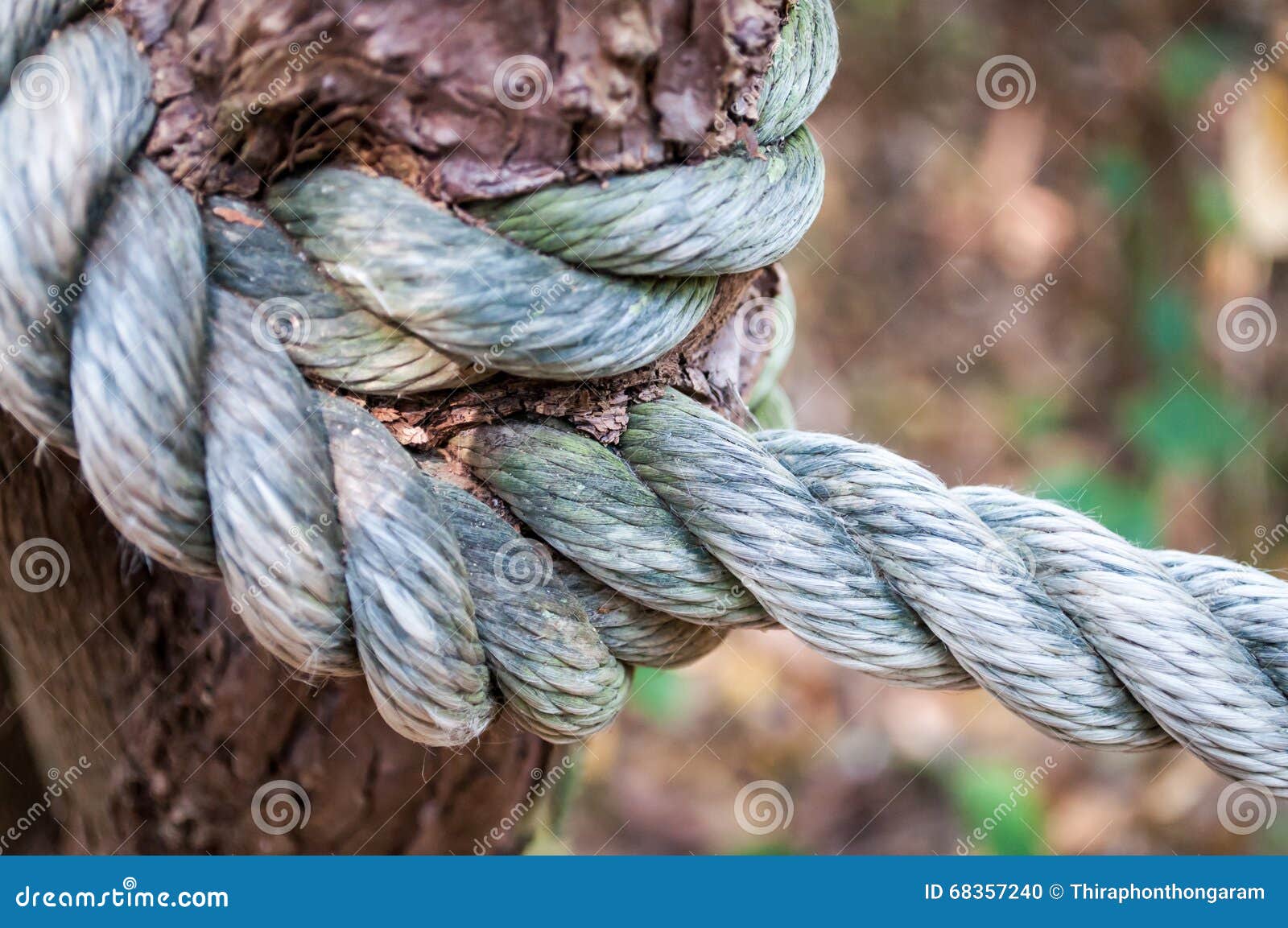 Rope stock photo. Image of tied, equipment, retro, garden - 68357240
