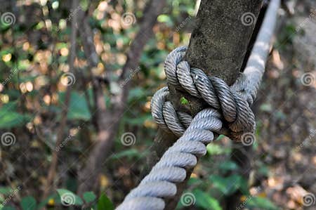 Rope stock photo. Image of retro, post, grass, rough - 68357254
